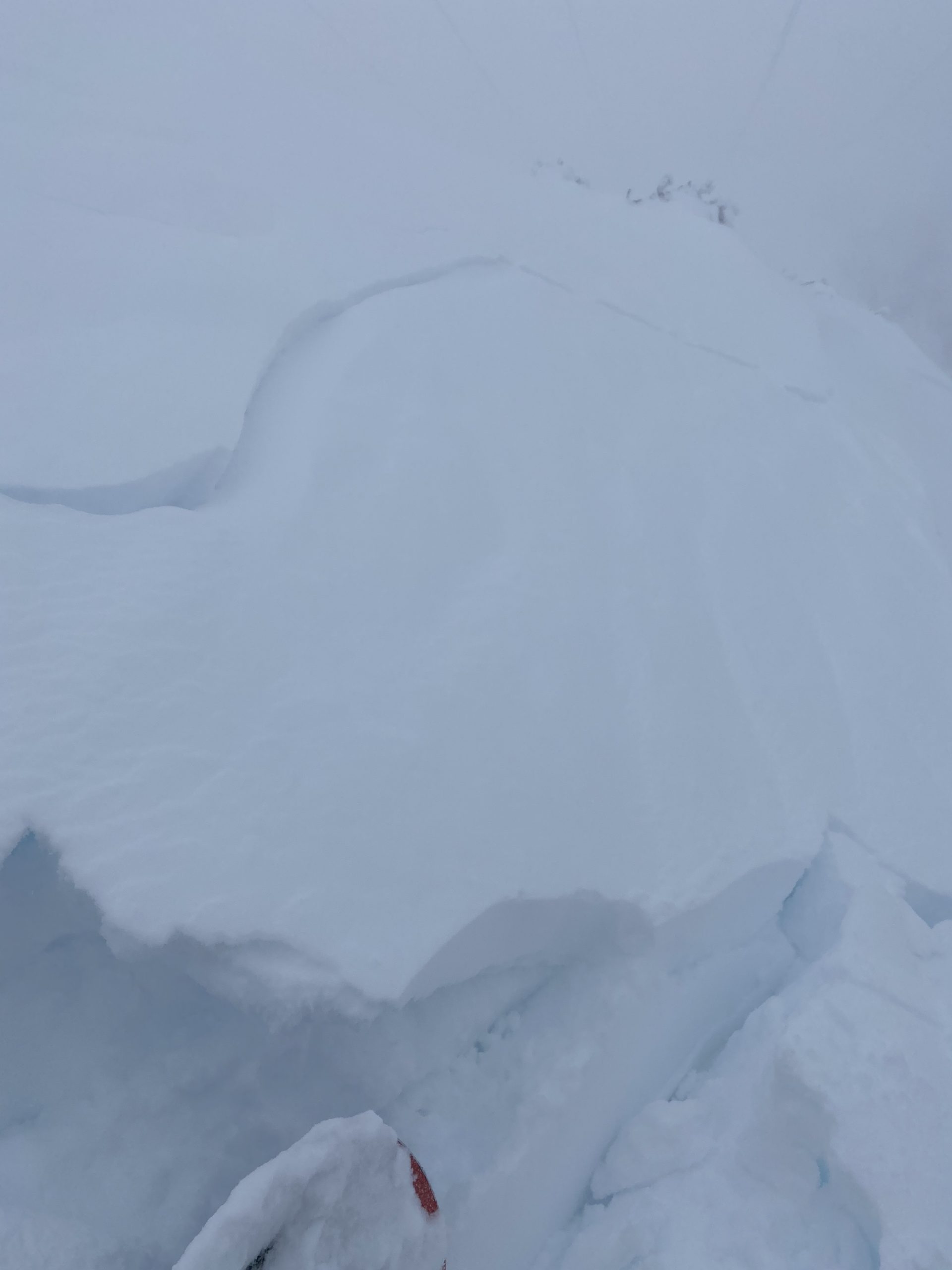 Northwest Avalanche Center - Public Observation