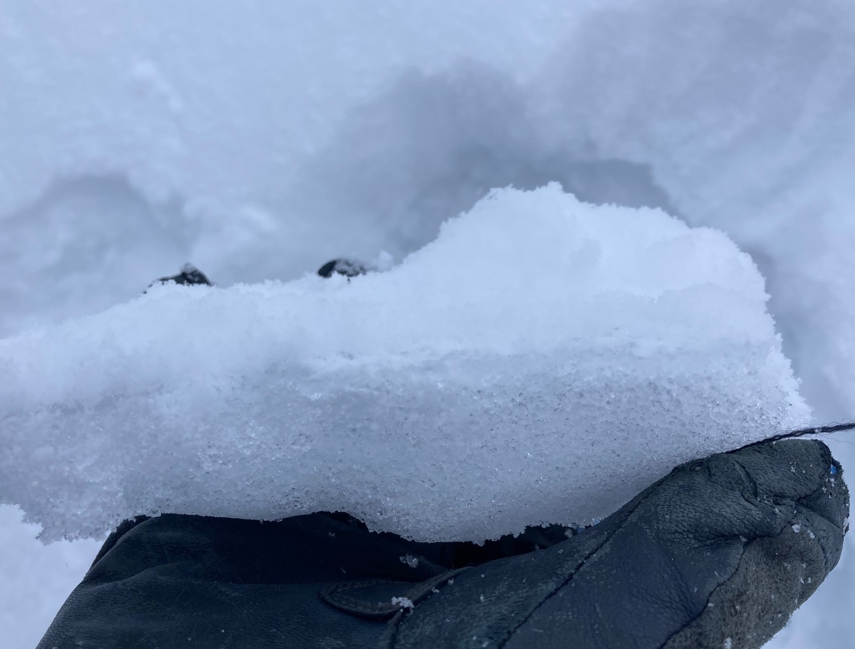 Northwest Avalanche Center - Pro Observation