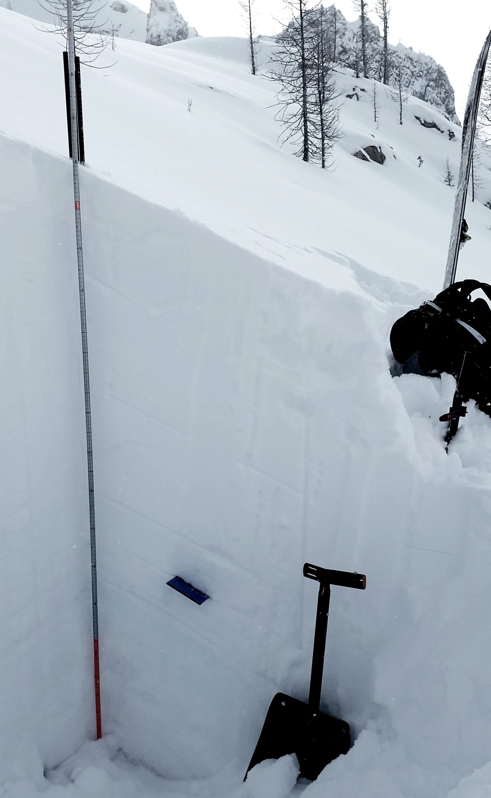 Northwest Avalanche Center - Pro Observation