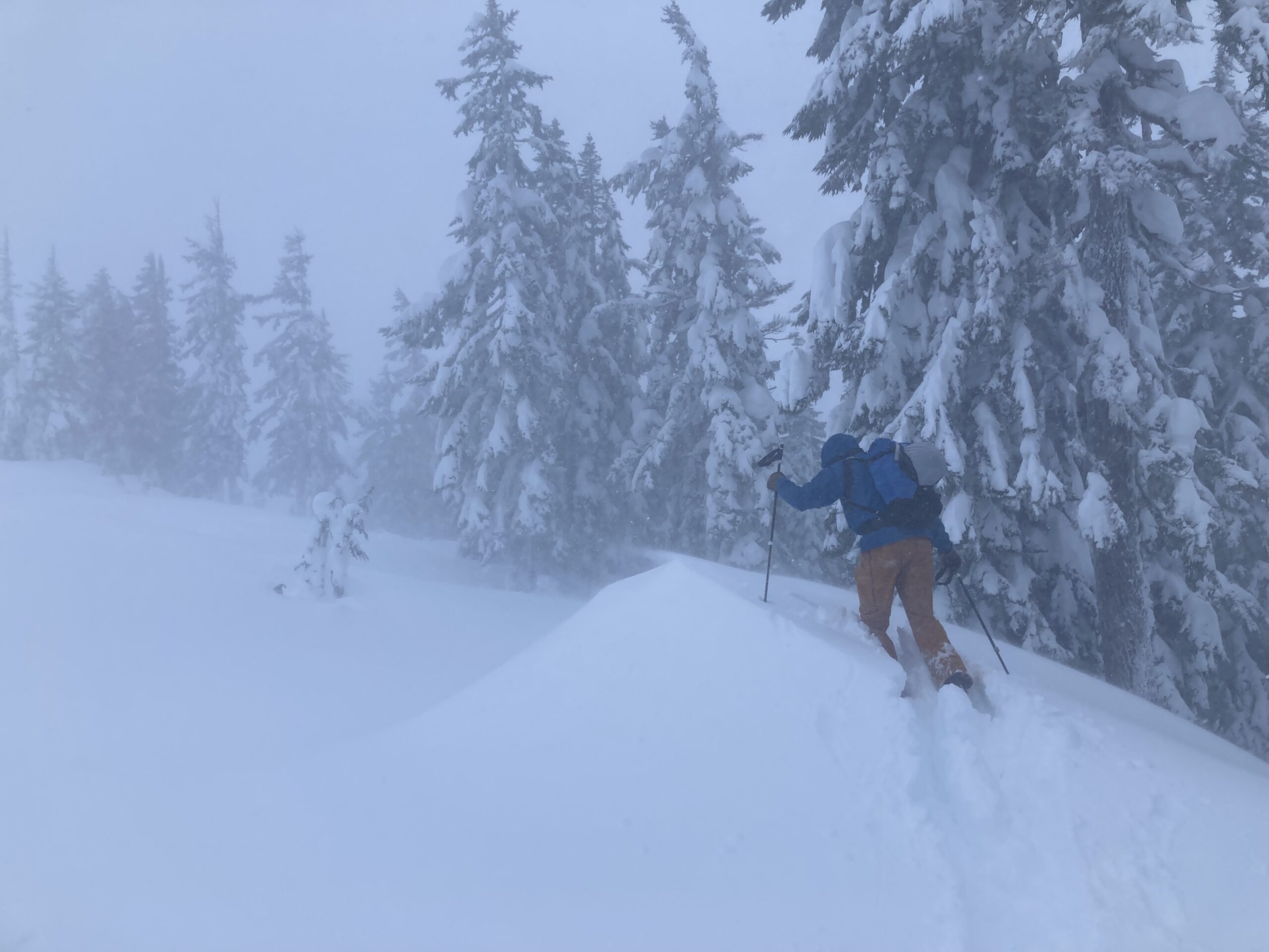 Northwest Avalanche Center - Pro Observation