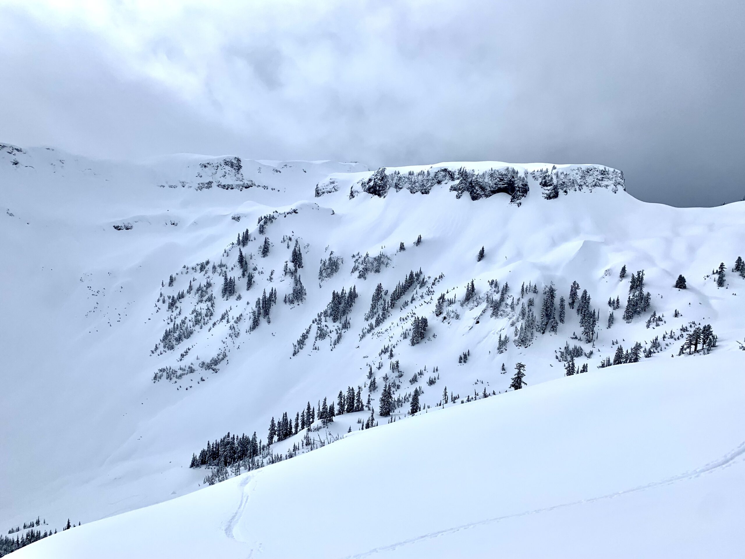 Northwest Avalanche Center - Pro Observation