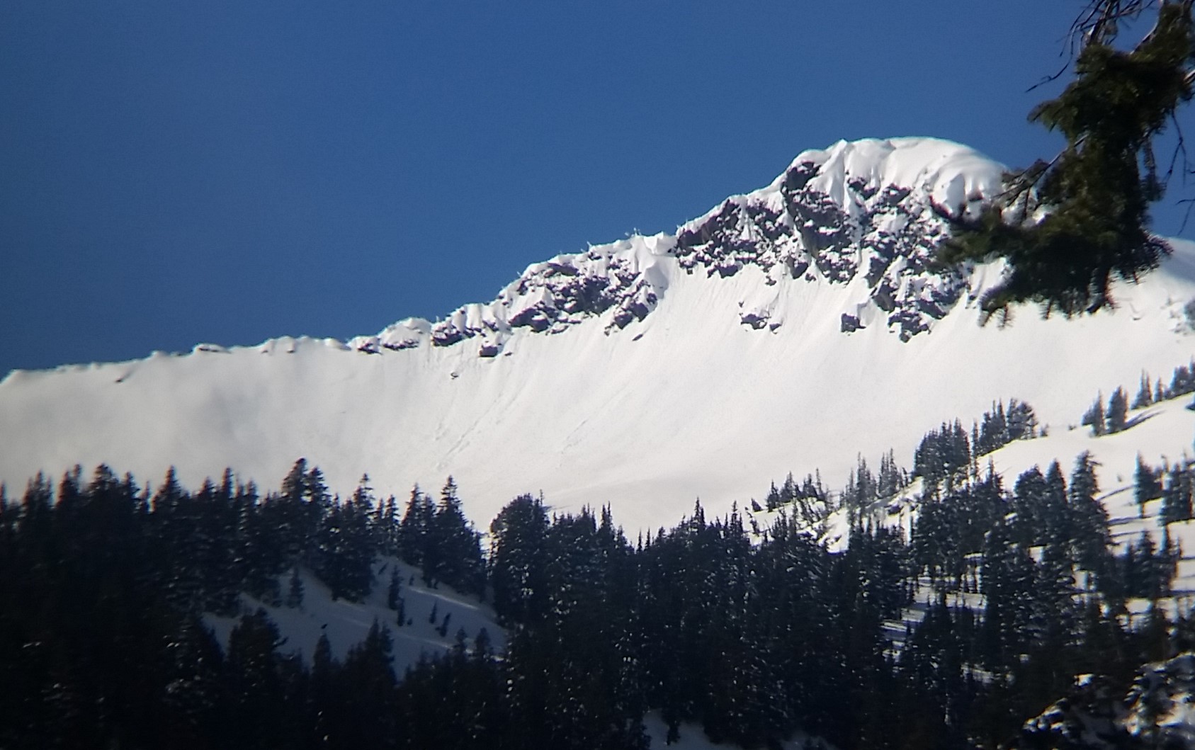 Northwest Avalanche Center - Pro Observation