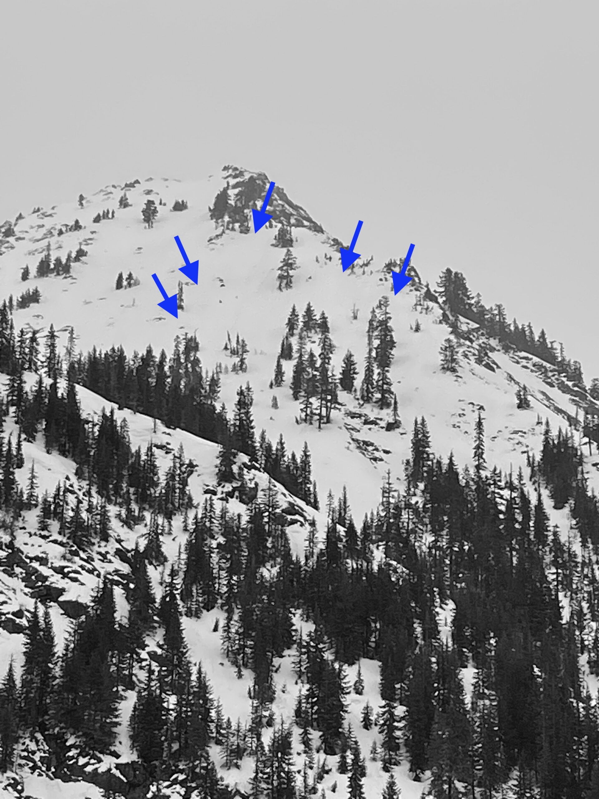 Northwest Avalanche Center - Pro Observation