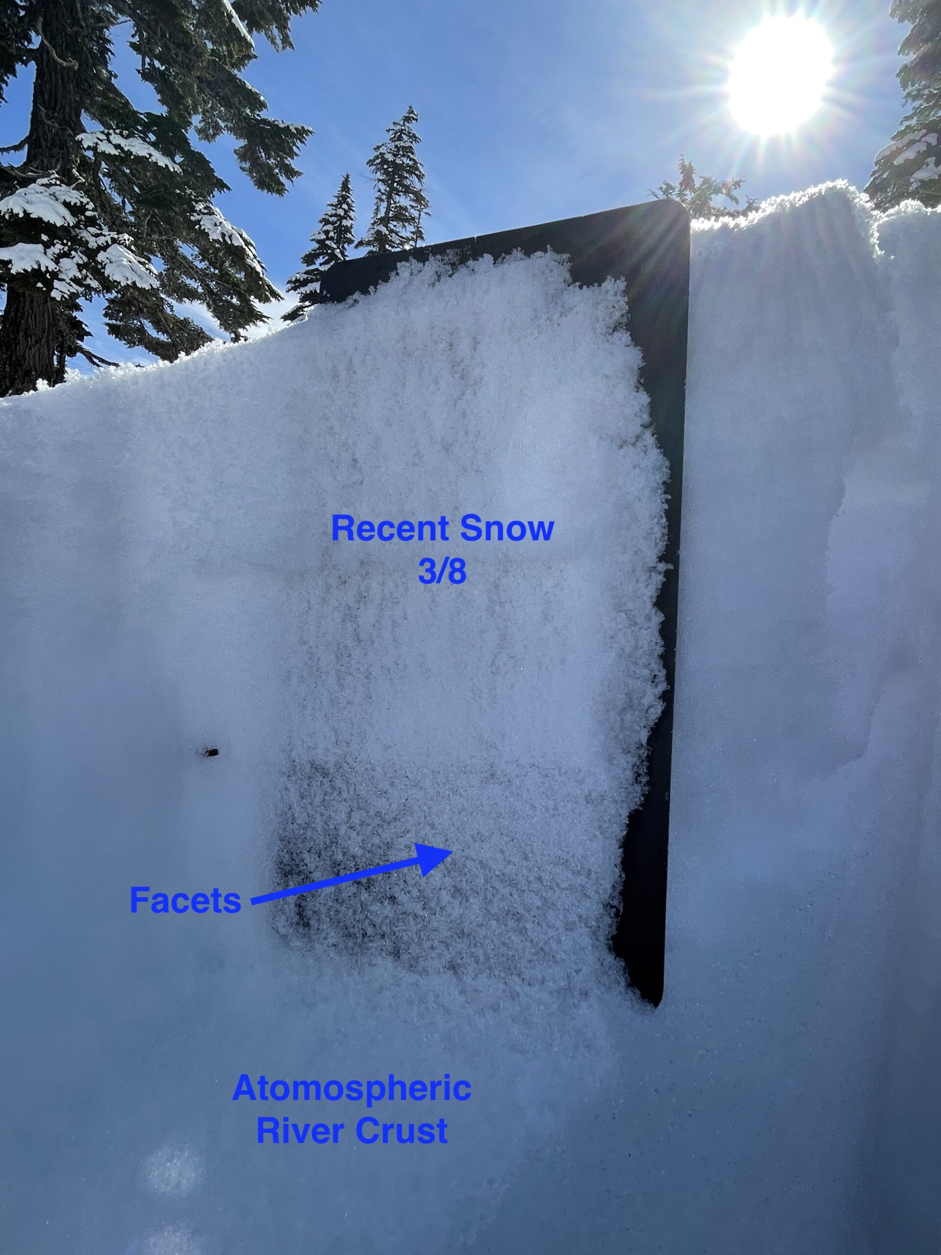 Northwest Avalanche Center - Pro Observation