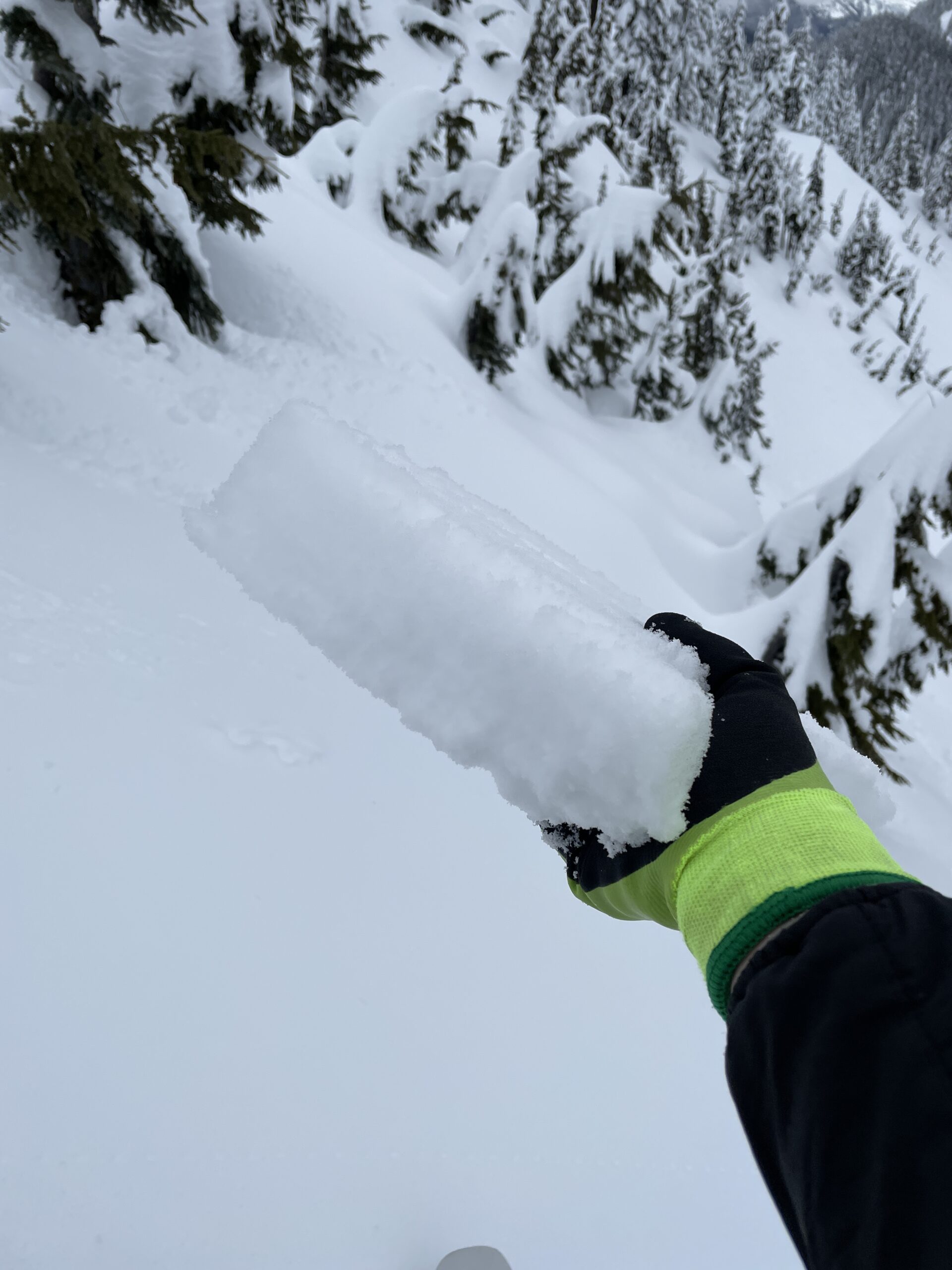 Northwest Avalanche Center - Pro Observation