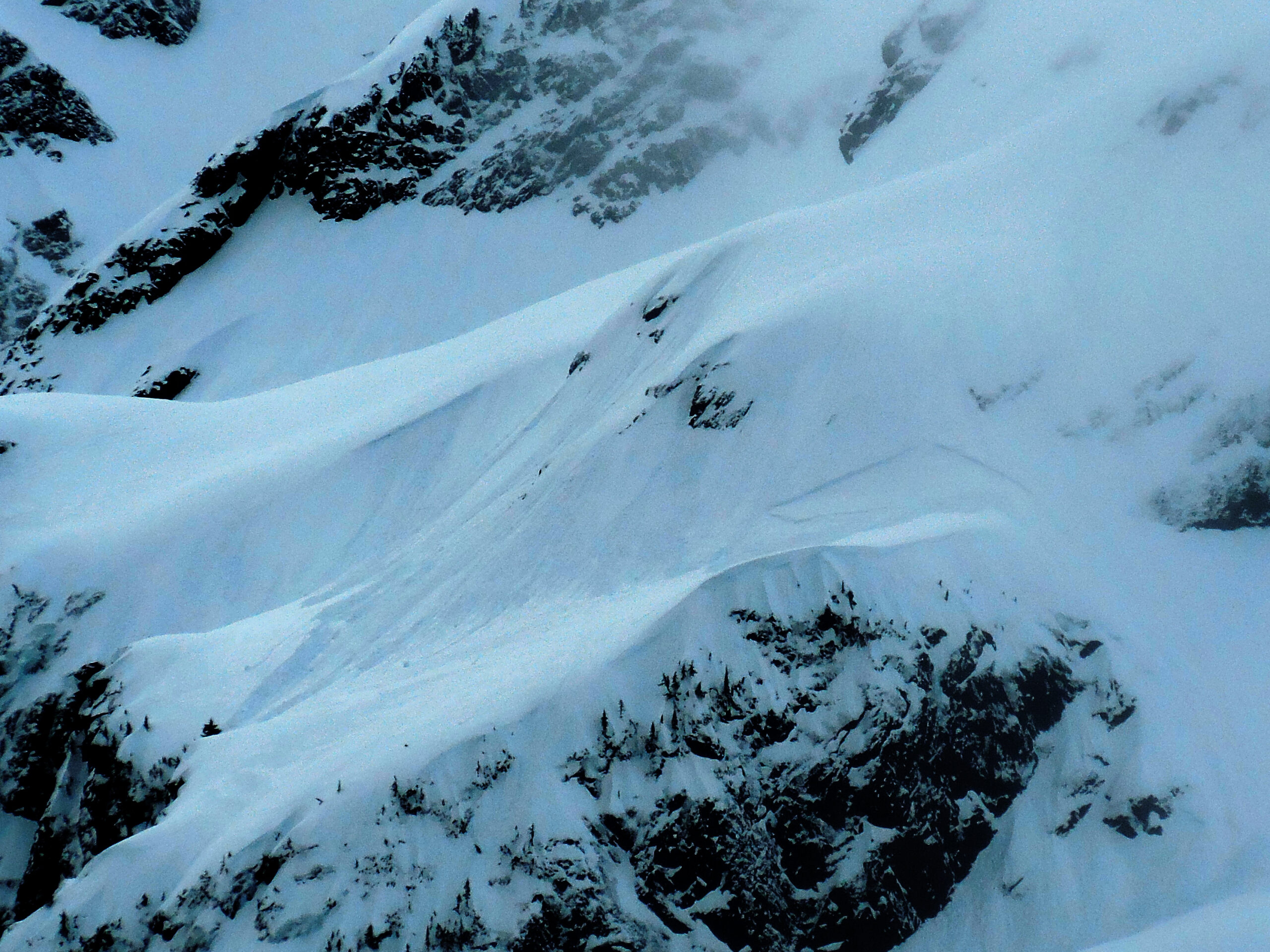 Northwest Avalanche Center - Pro Observation