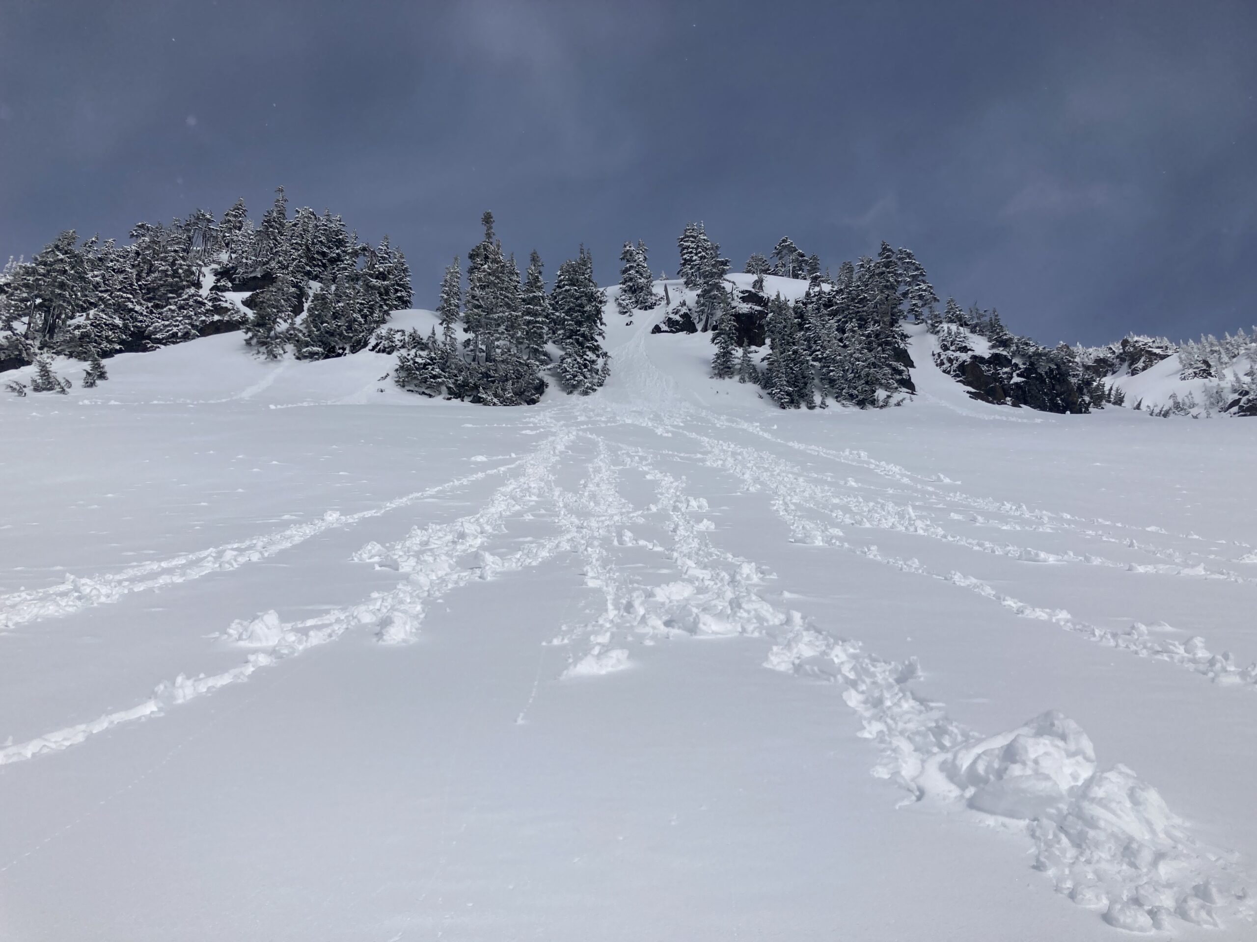 Northwest Avalanche Center - Pro Observation