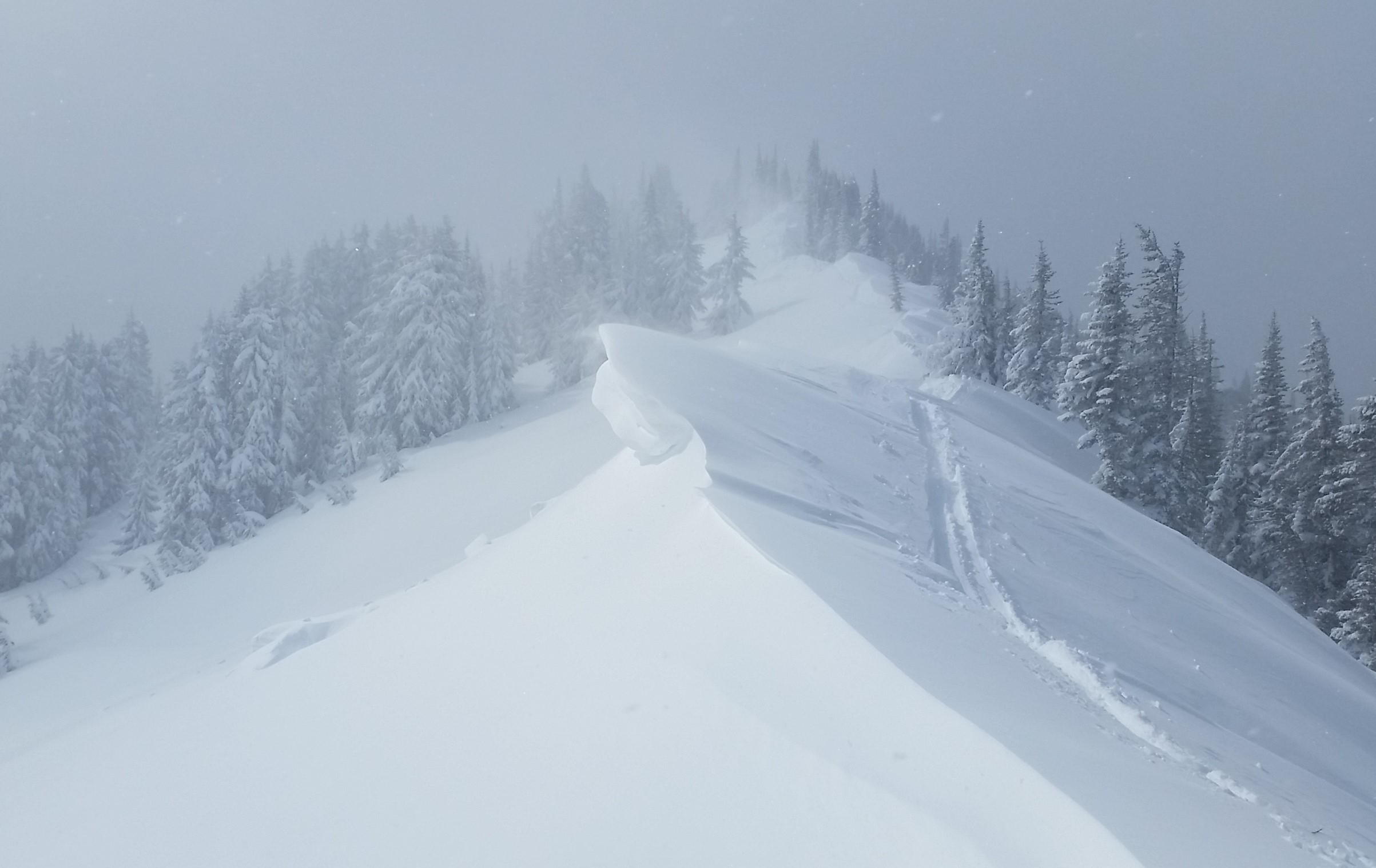 Northwest Avalanche Center - Pro Observation