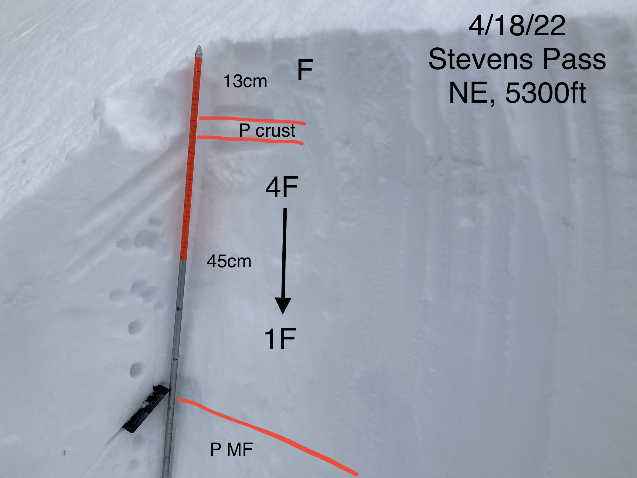Northwest Avalanche Center - Pro Observation