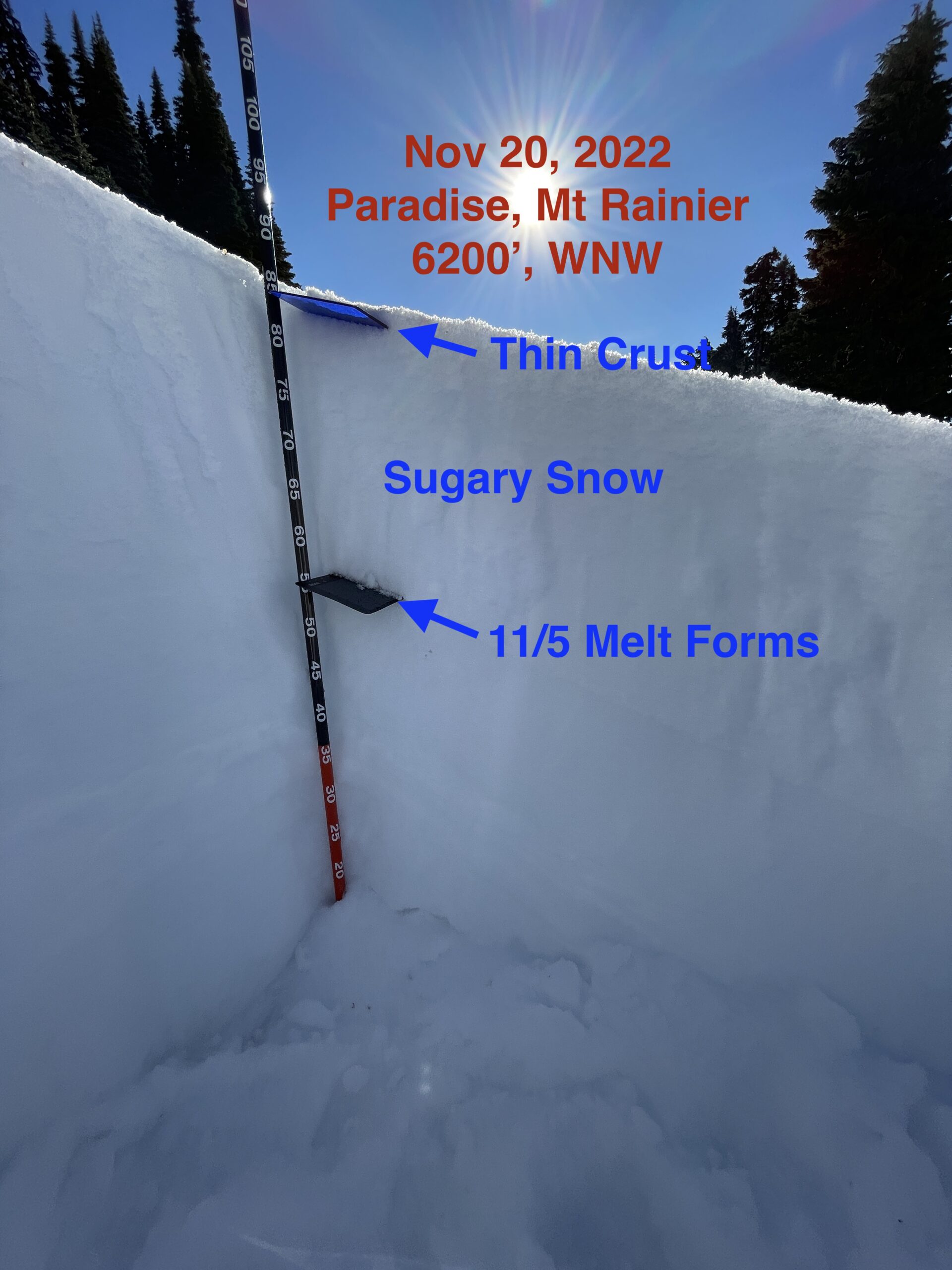 Northwest Avalanche Center - Pro Observation