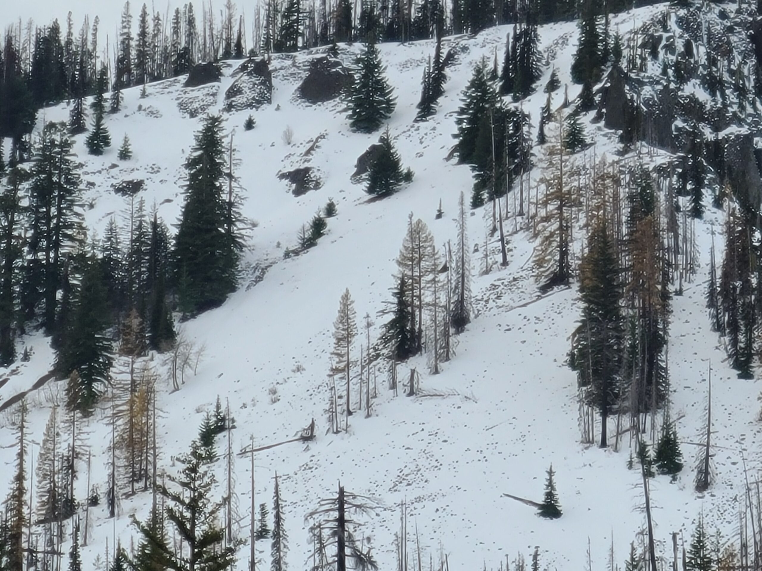 Northwest Avalanche Center - Pro Observation