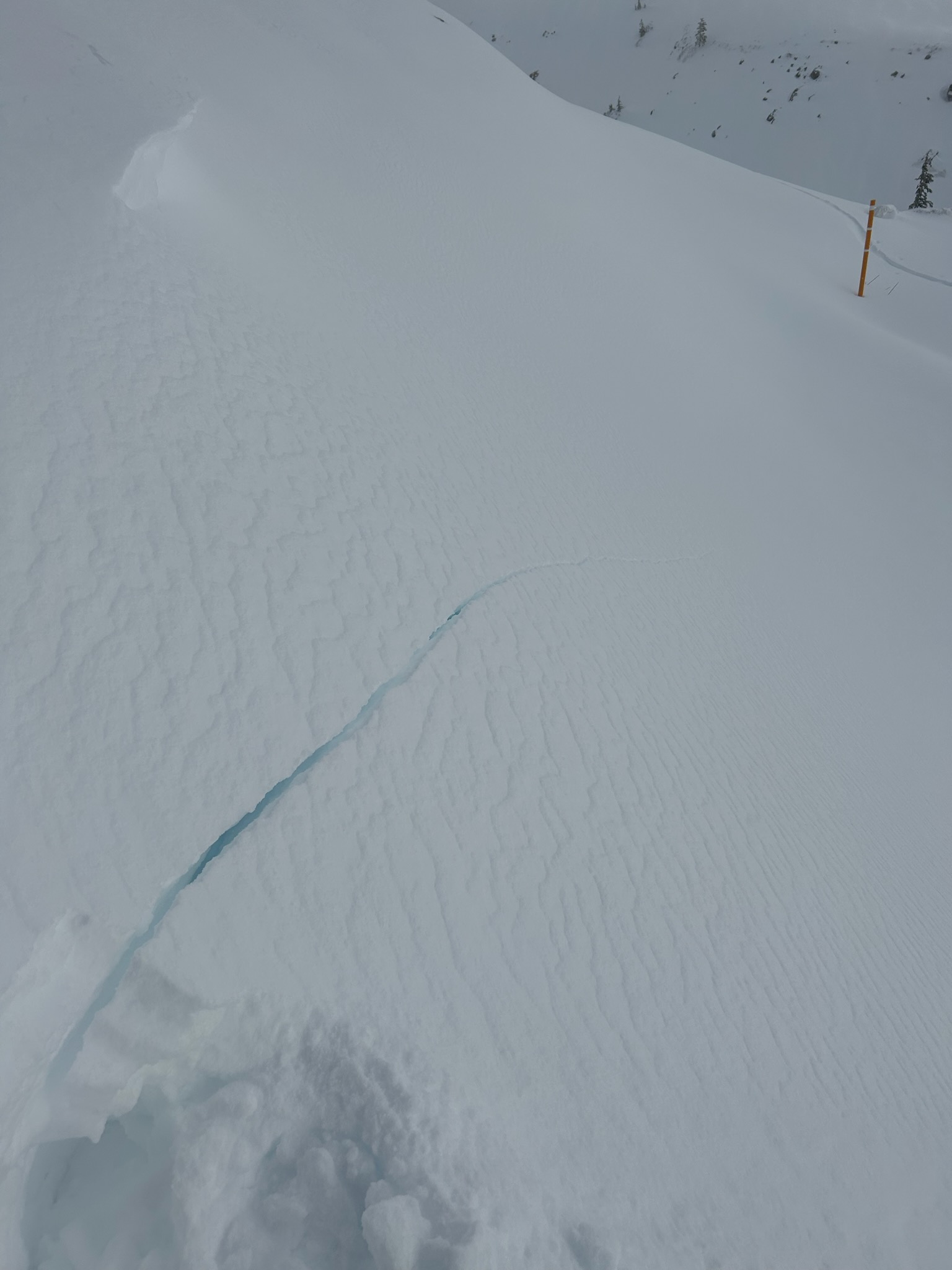 Northwest Avalanche Center - Pro Observation