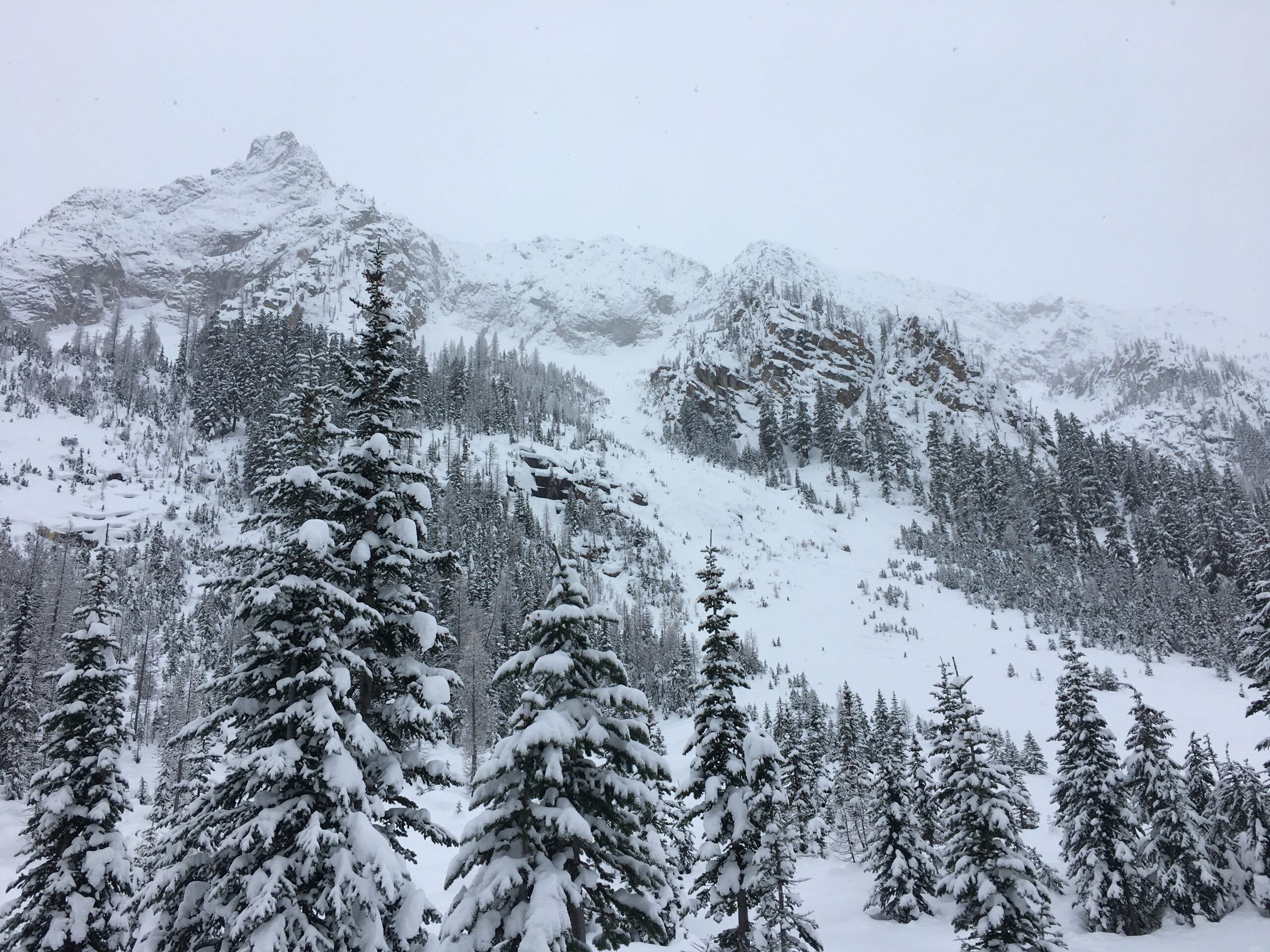 Northwest Avalanche Center - Pro Observation