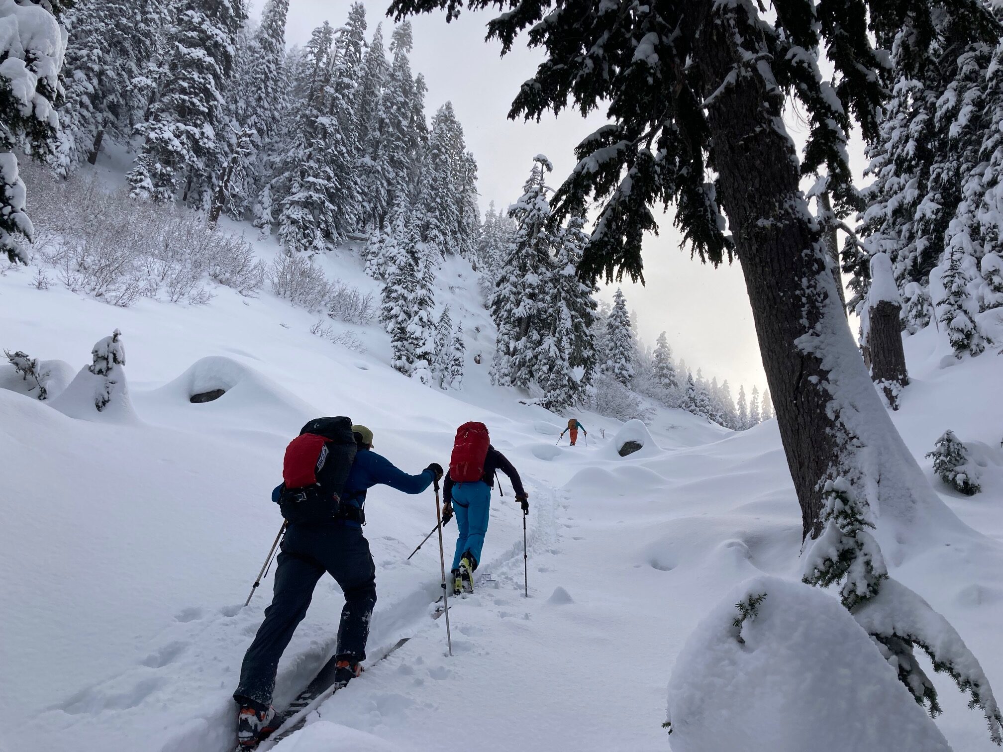 Northwest Avalanche Center - Pro Observation