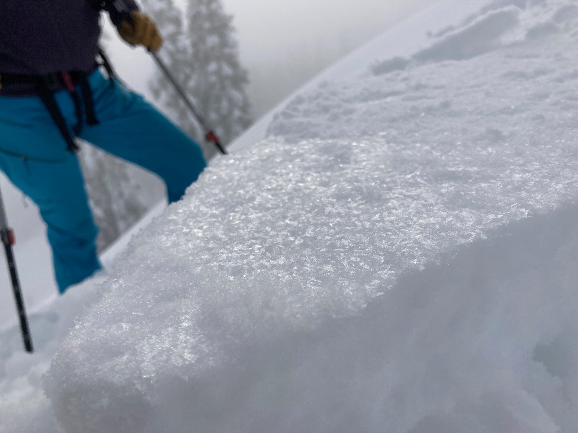 Northwest Avalanche Center - Pro Observation