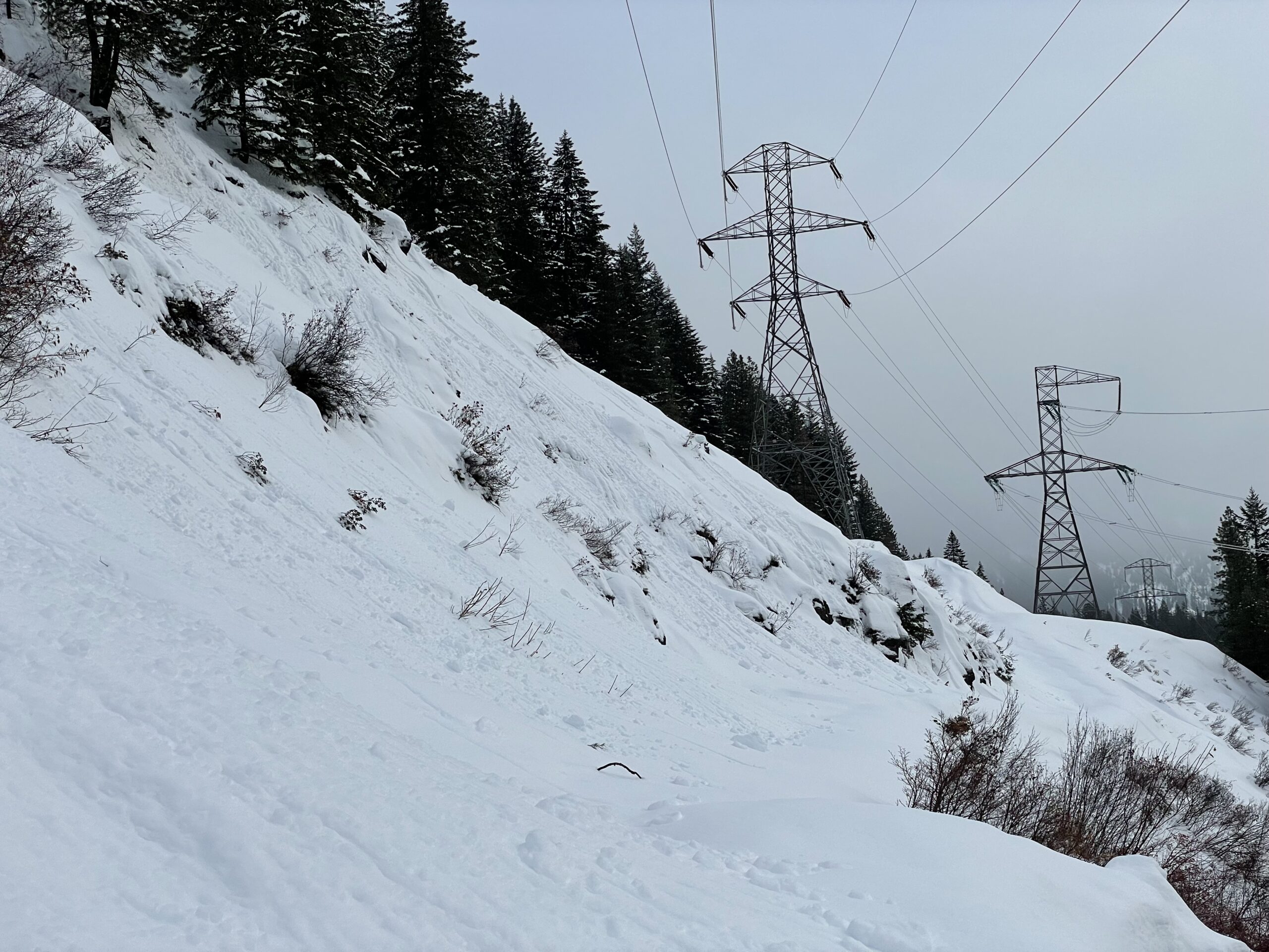 Northwest Avalanche Center - Pro Observation