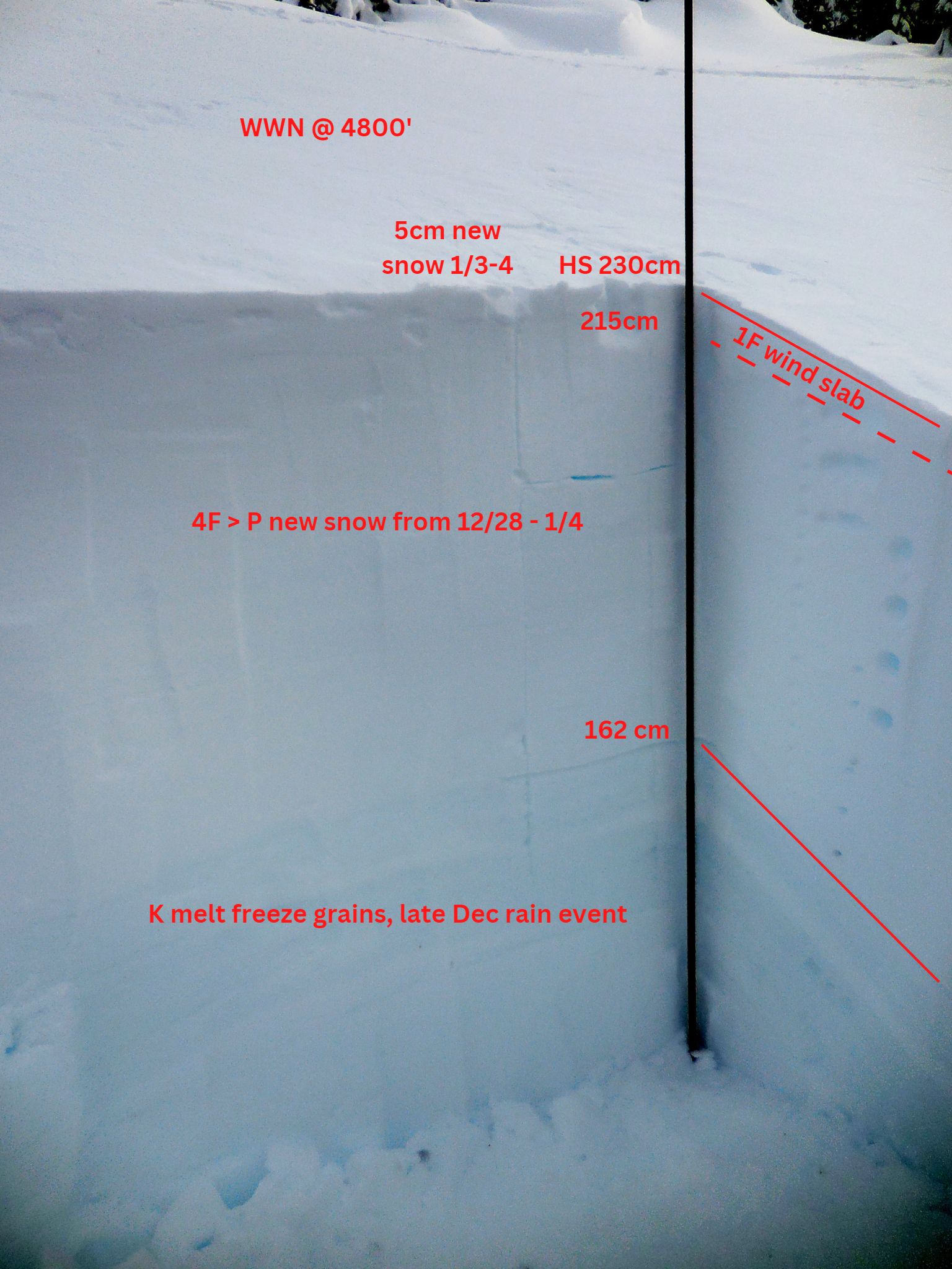 Northwest Avalanche Center - Pro Observation