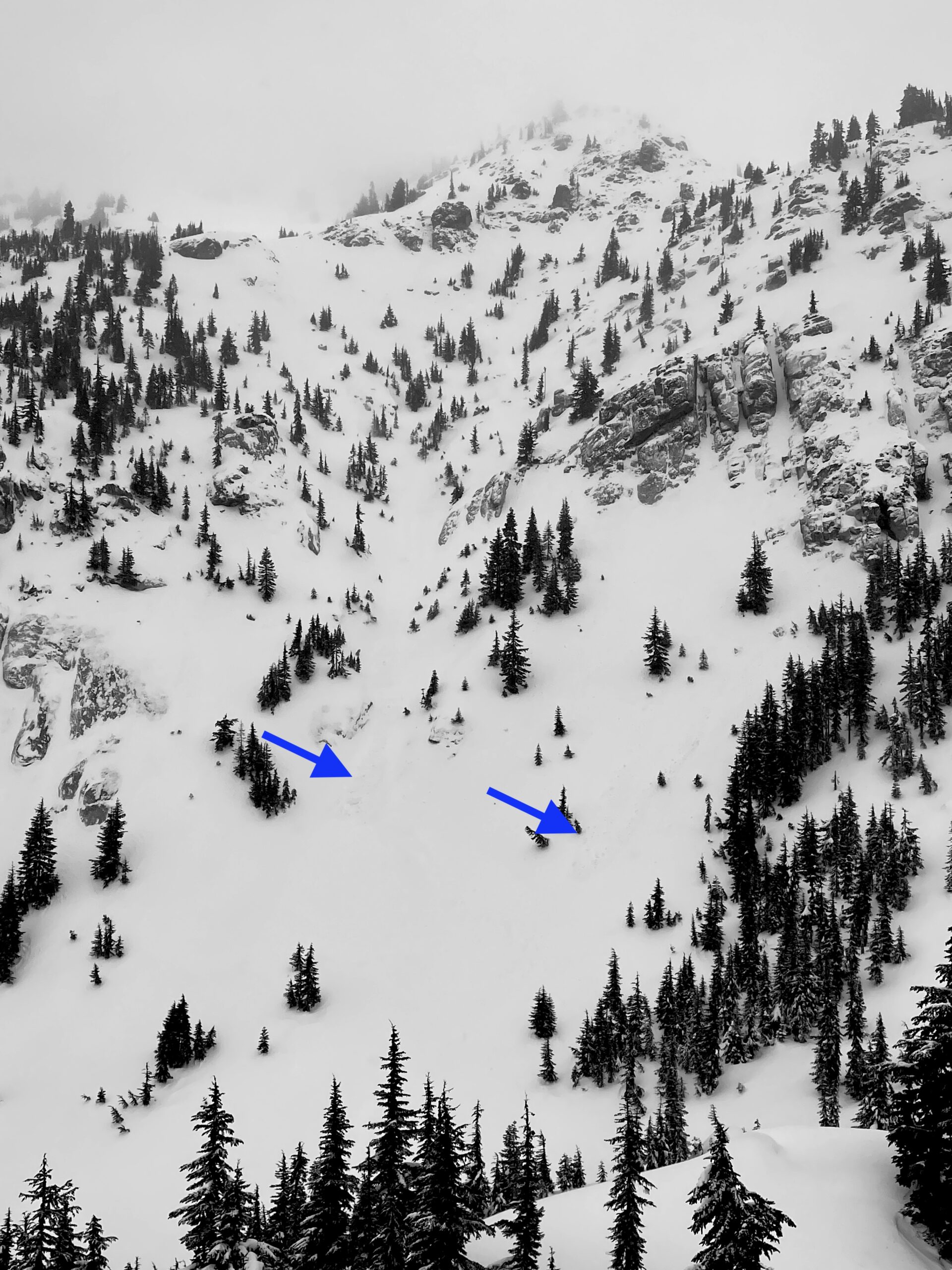 Northwest Avalanche Center - Pro Observation