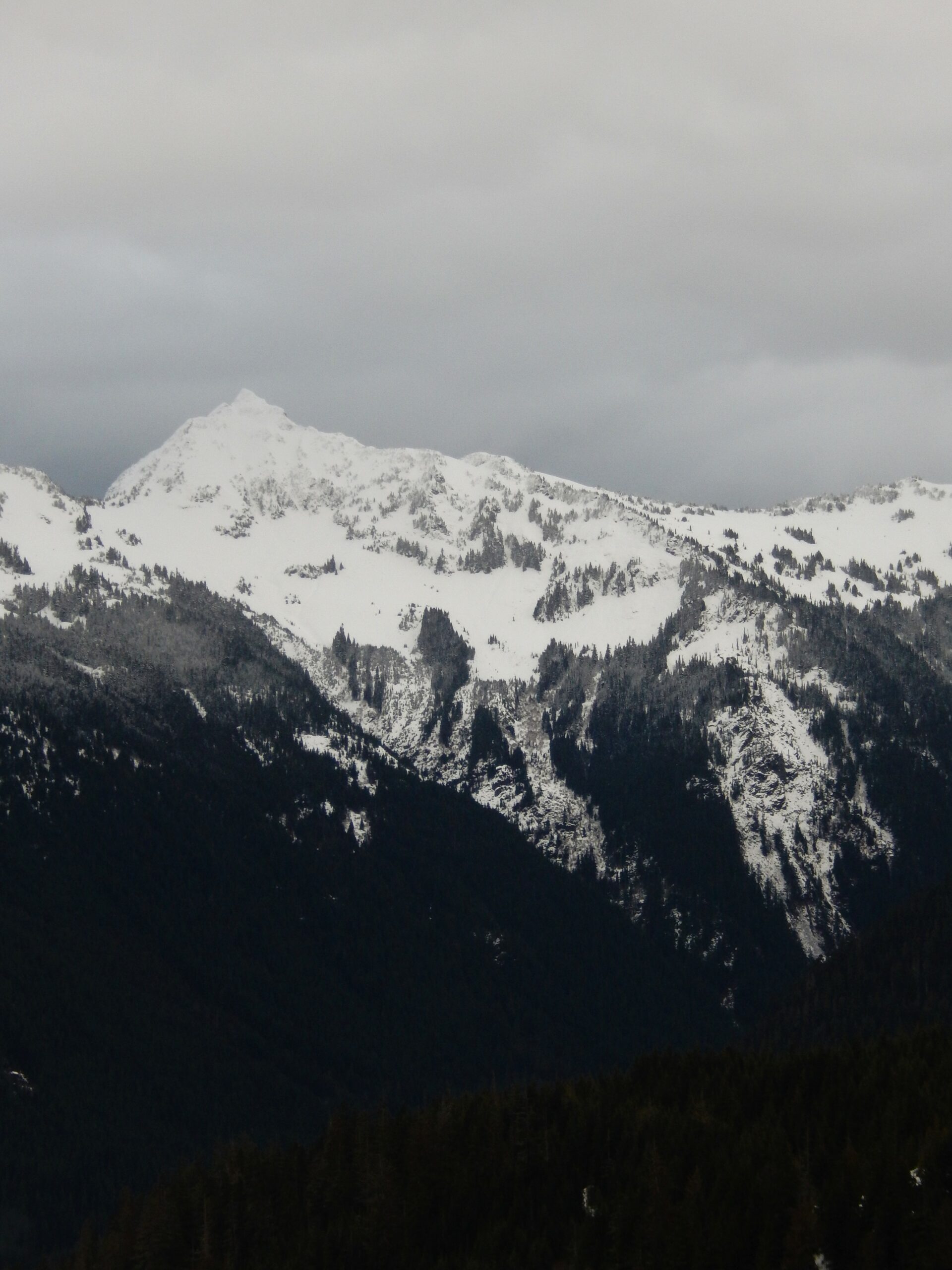 Northwest Avalanche Center - Pro Observation