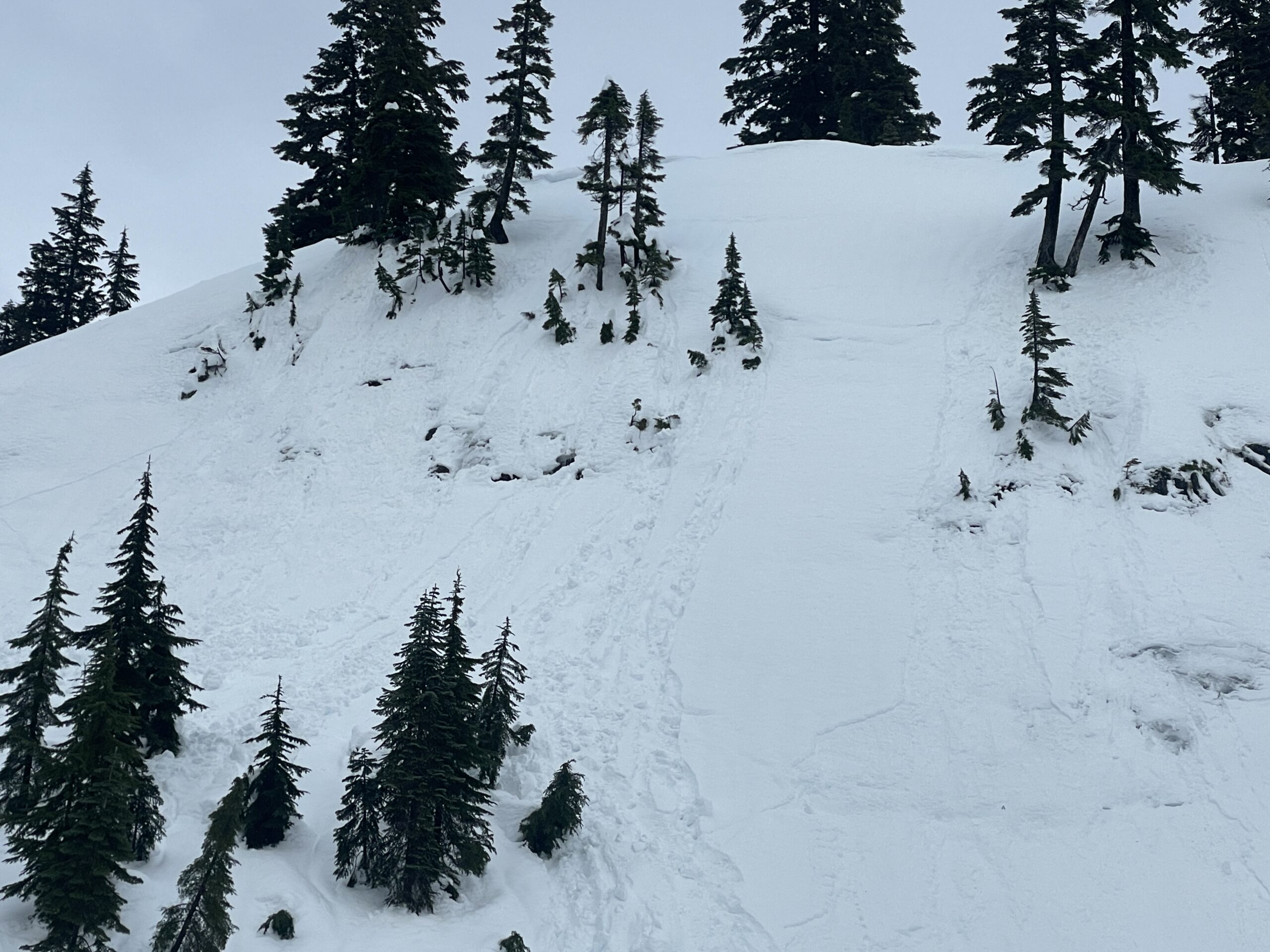 Northwest Avalanche Center - Pro Observation