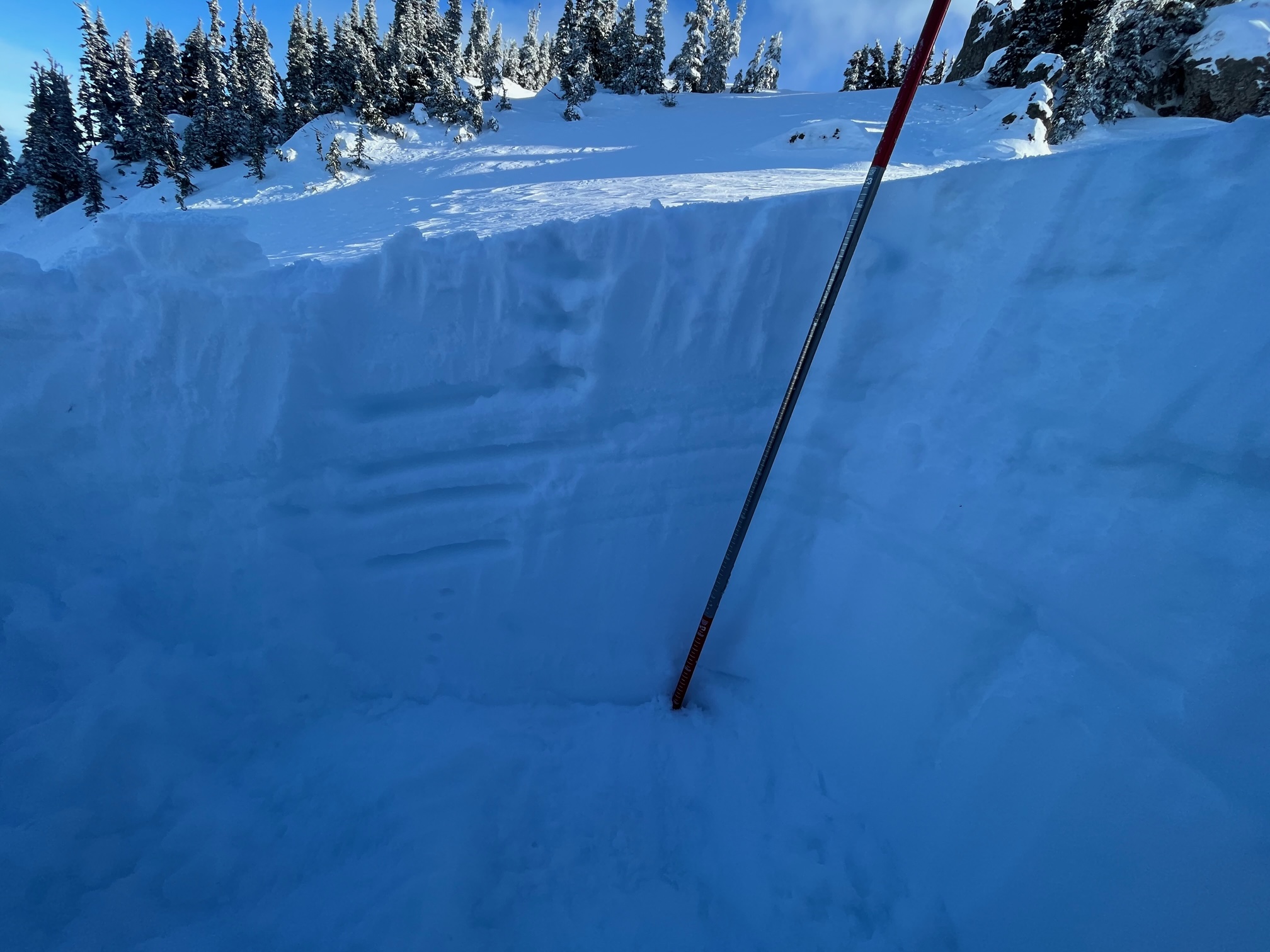 Northwest Avalanche Center - Pro Observation