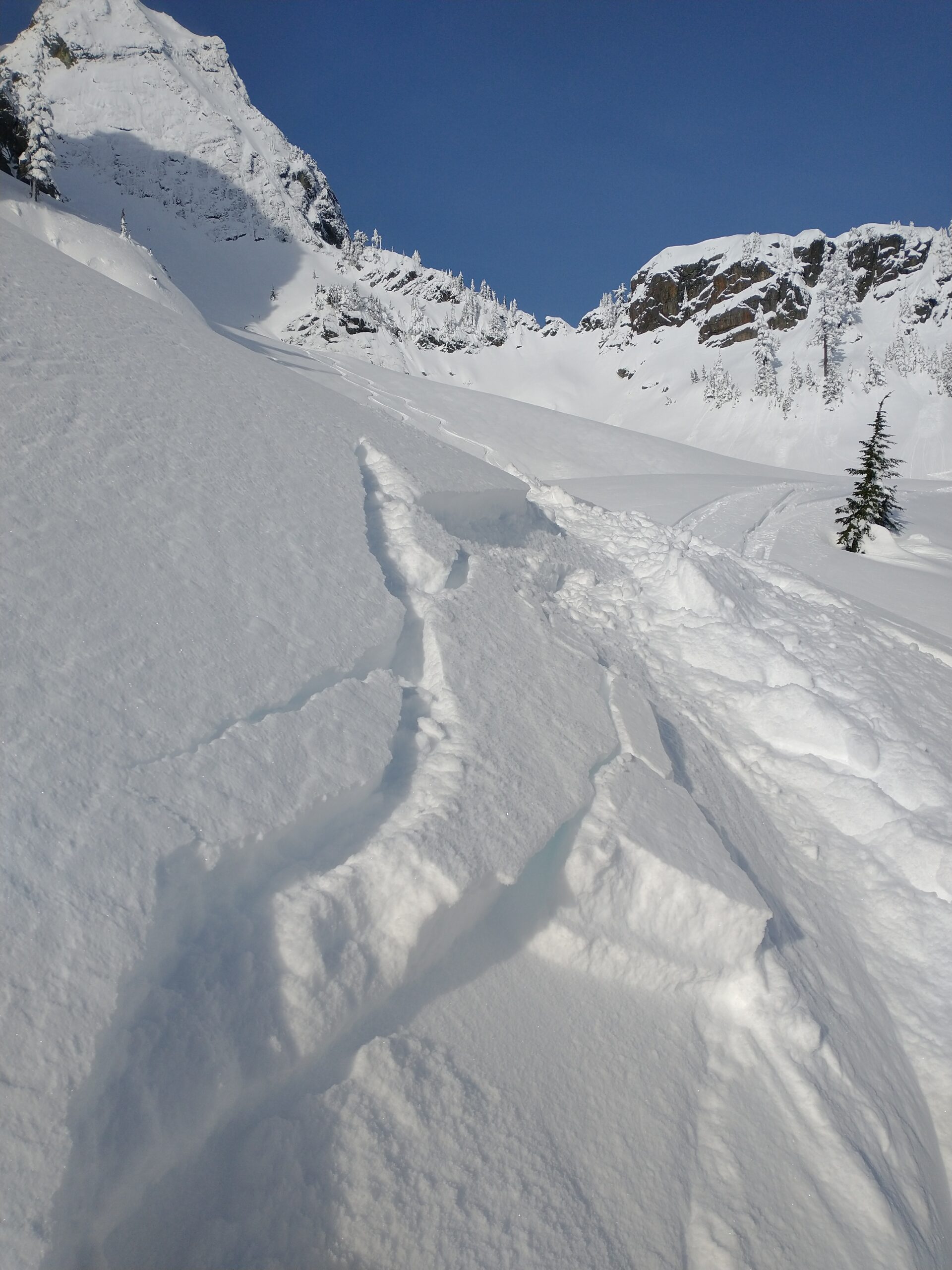 Northwest Avalanche Center - Pro Observation