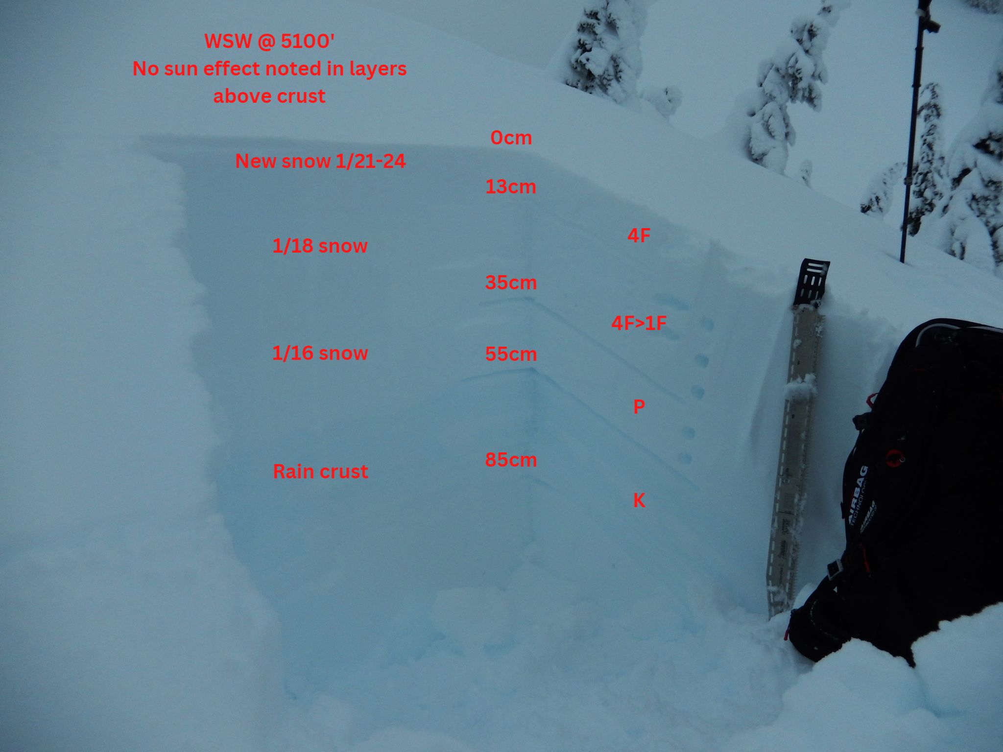 Northwest Avalanche Center - Pro Observation