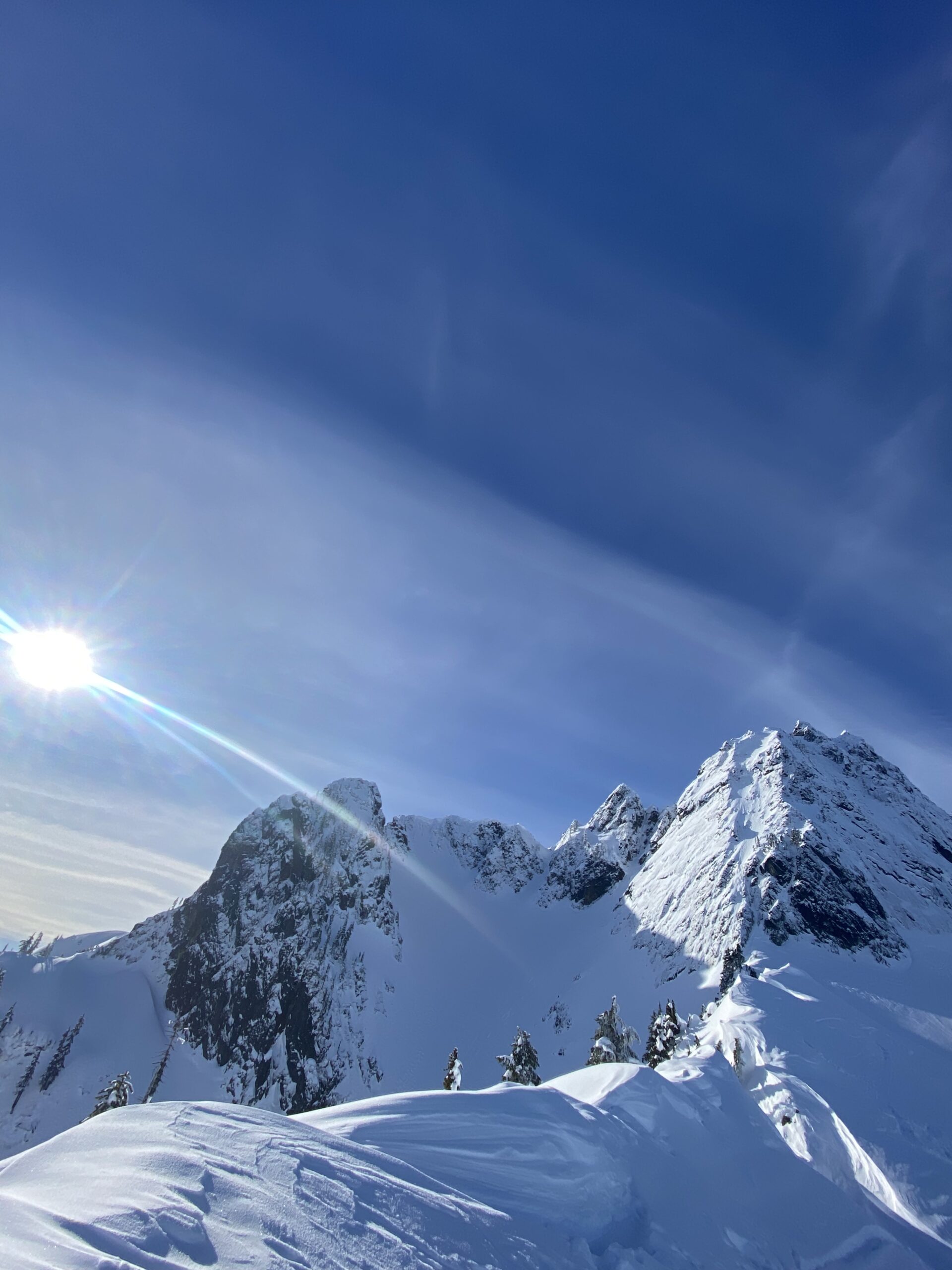 Northwest Avalanche Center - Pro Observation