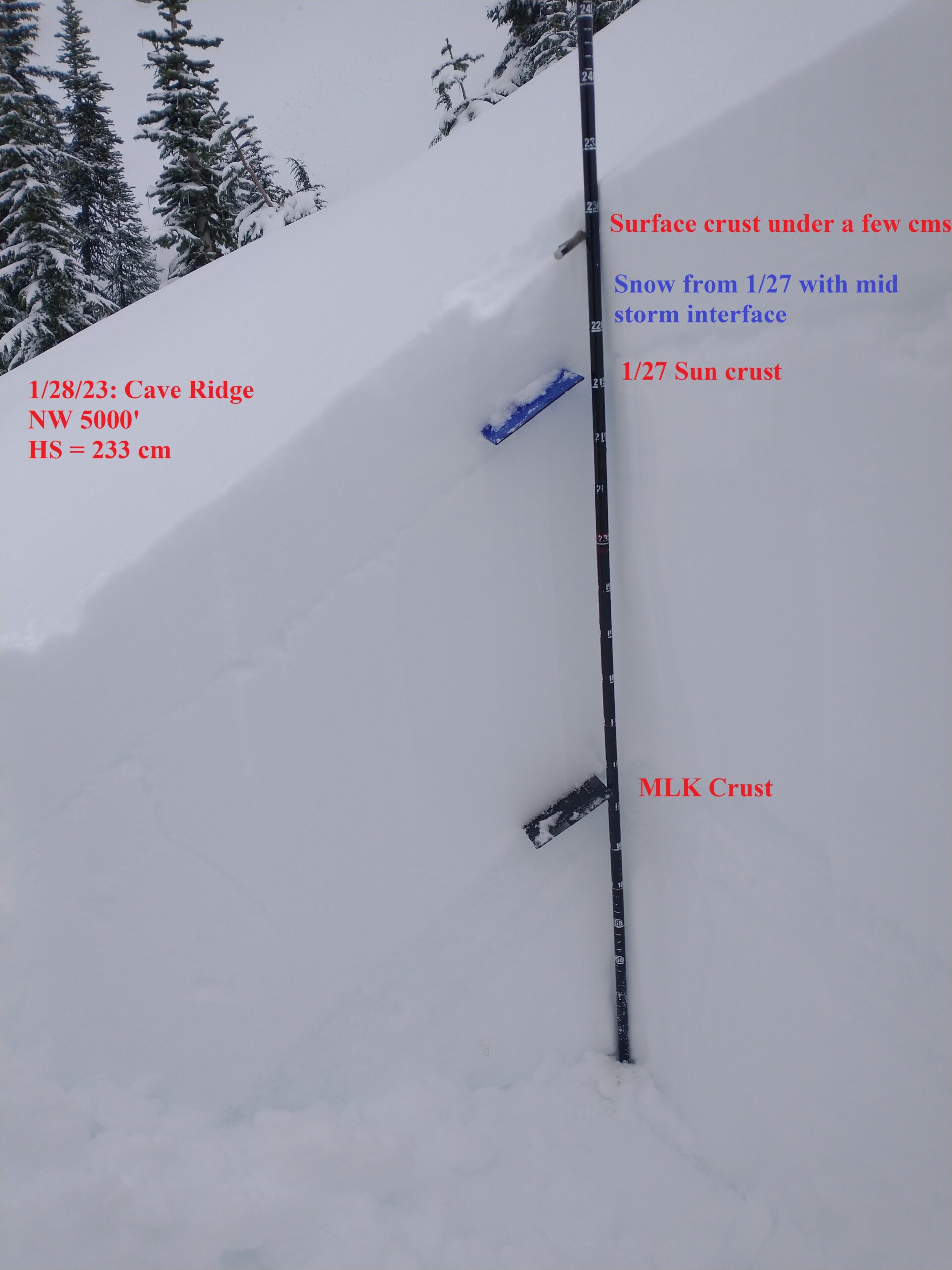 Northwest Avalanche Center - Pro Observation