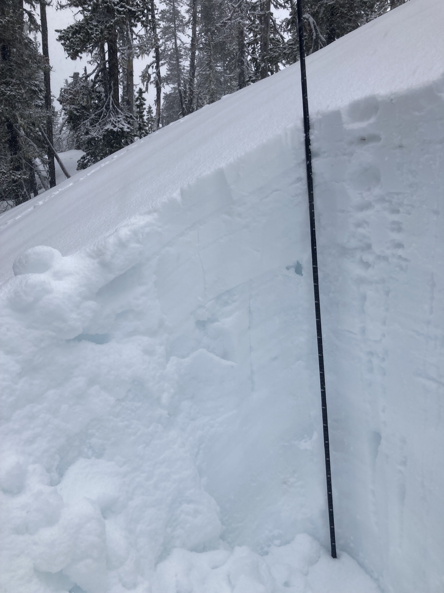 Northwest Avalanche Center - Pro Observation