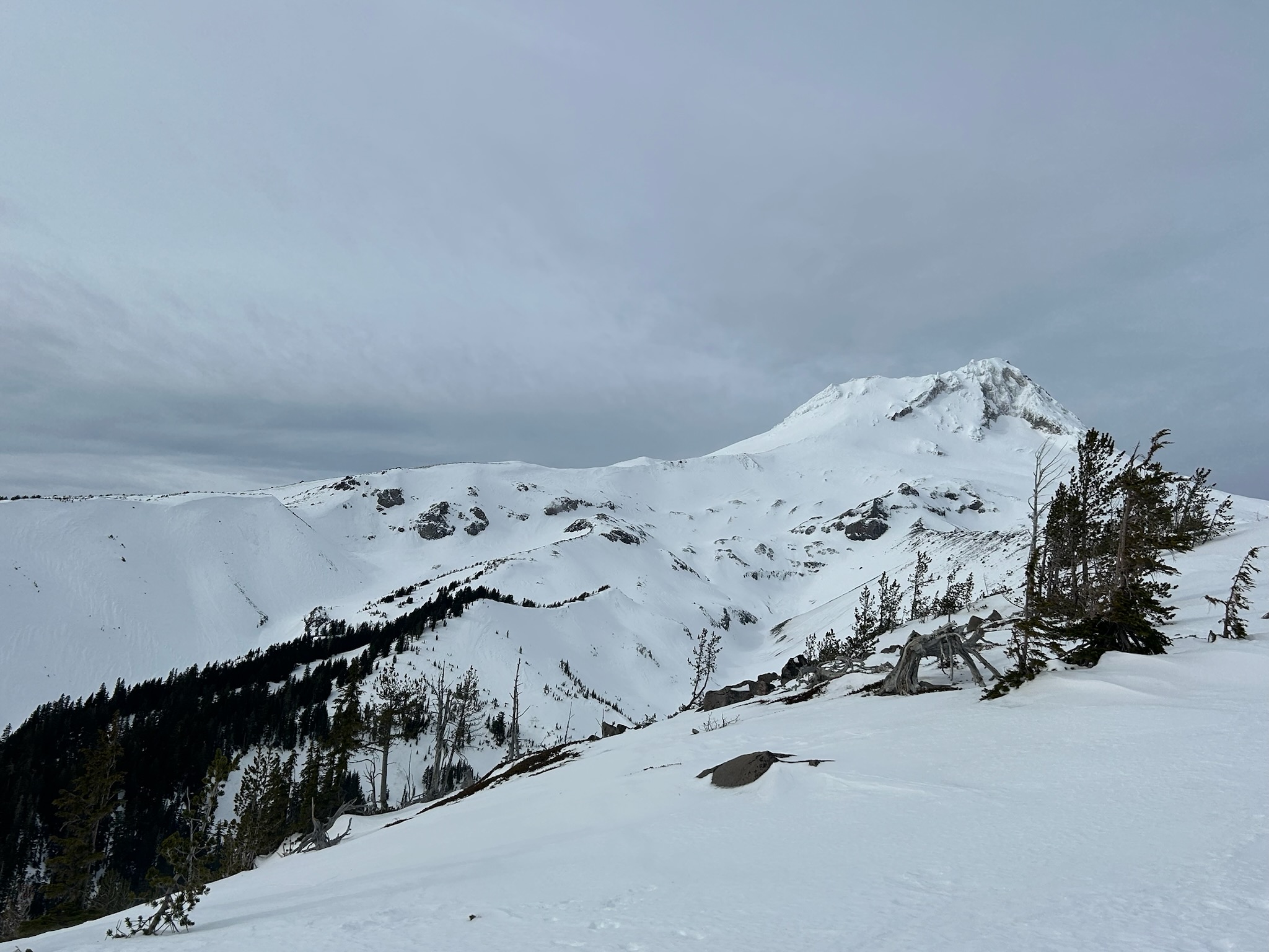 Northwest Avalanche Center - Pro Observation