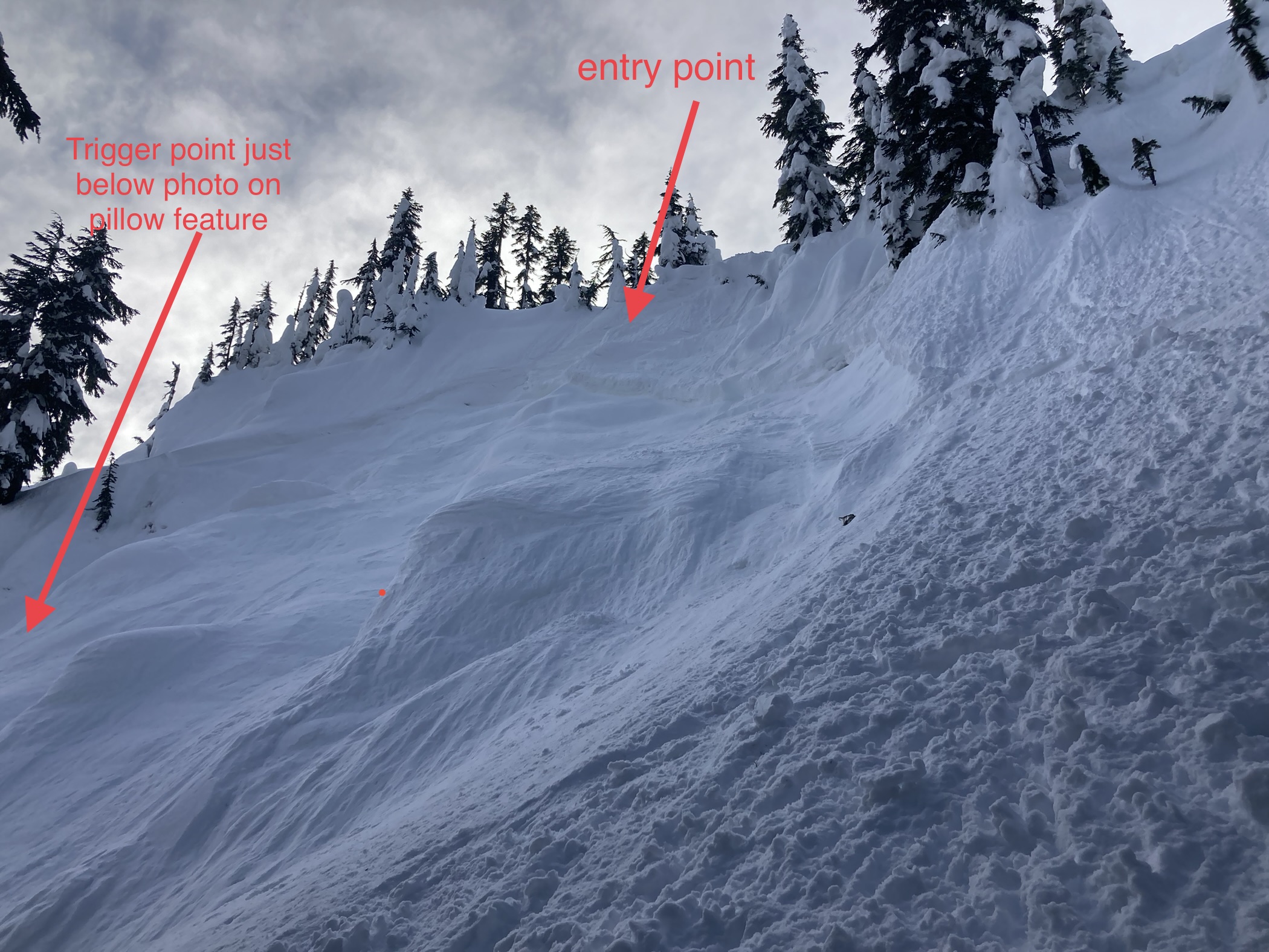 Northwest Avalanche Center - Pro Observation