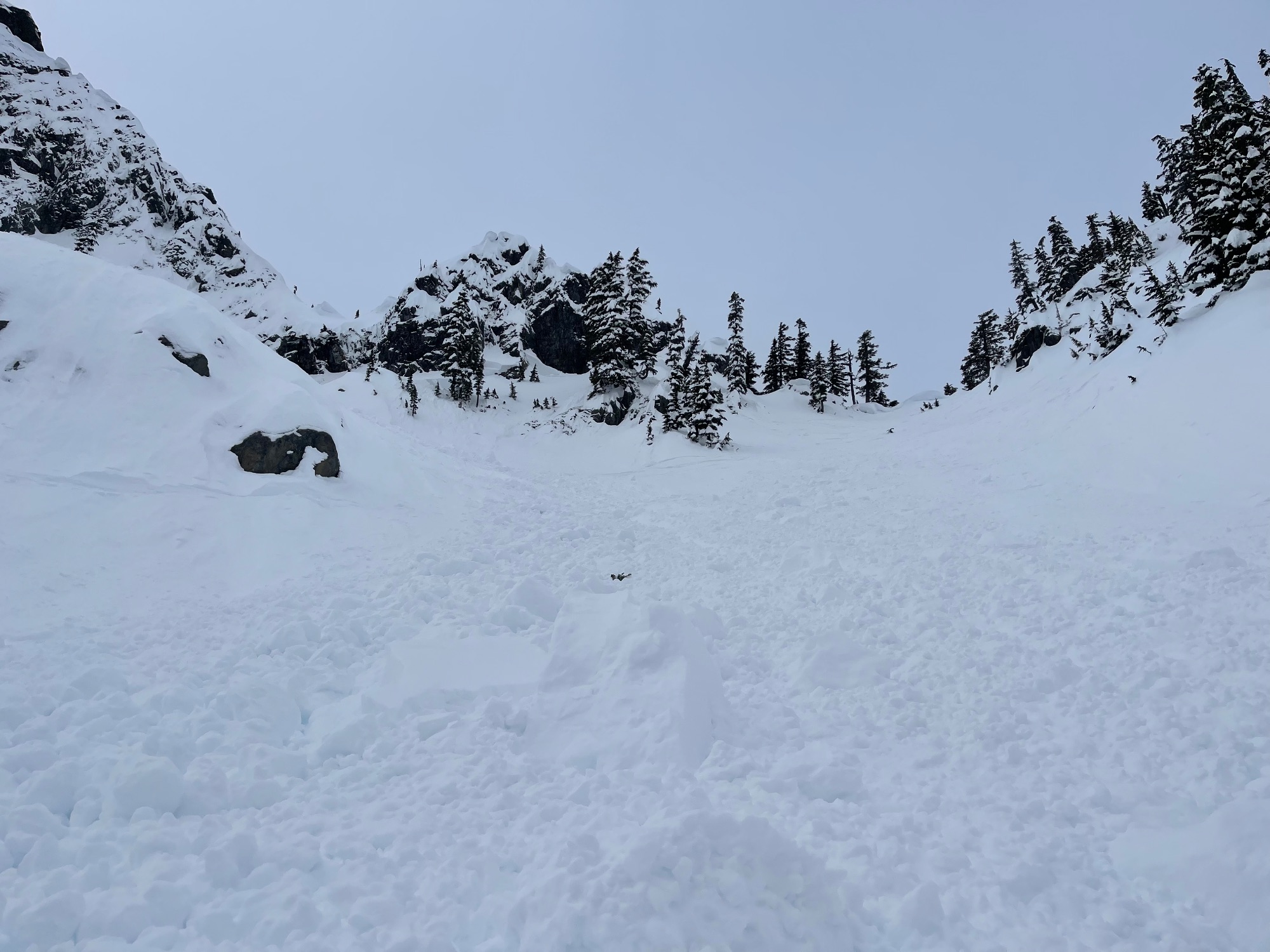 Northwest Avalanche Center - Pro Observation