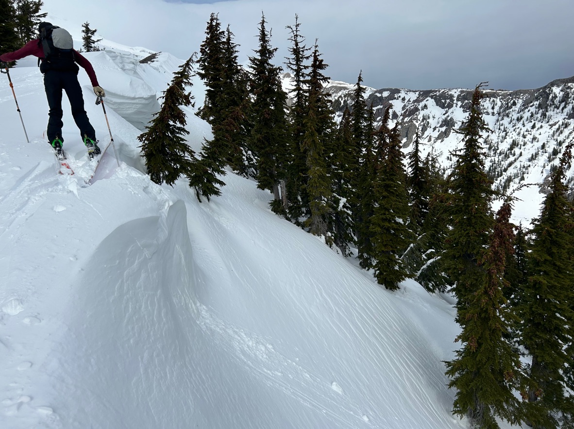 Northwest Avalanche Center - Pro Observation