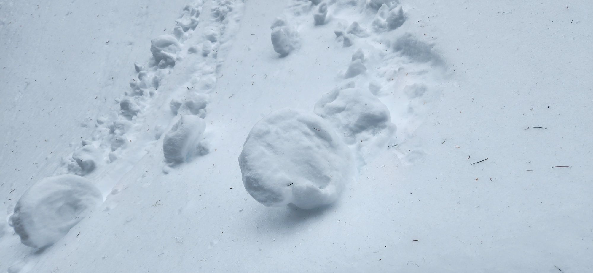 Northwest Avalanche Center - Public Observation