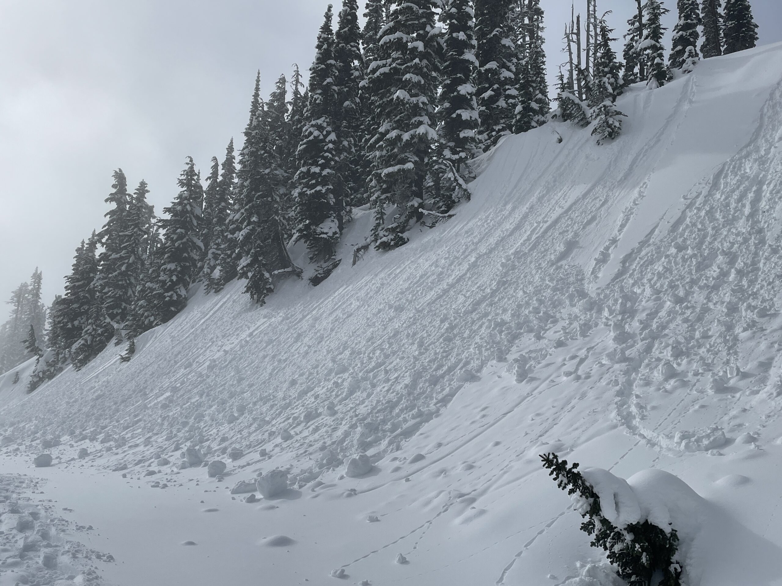 Northwest Avalanche Center - Pro Observation