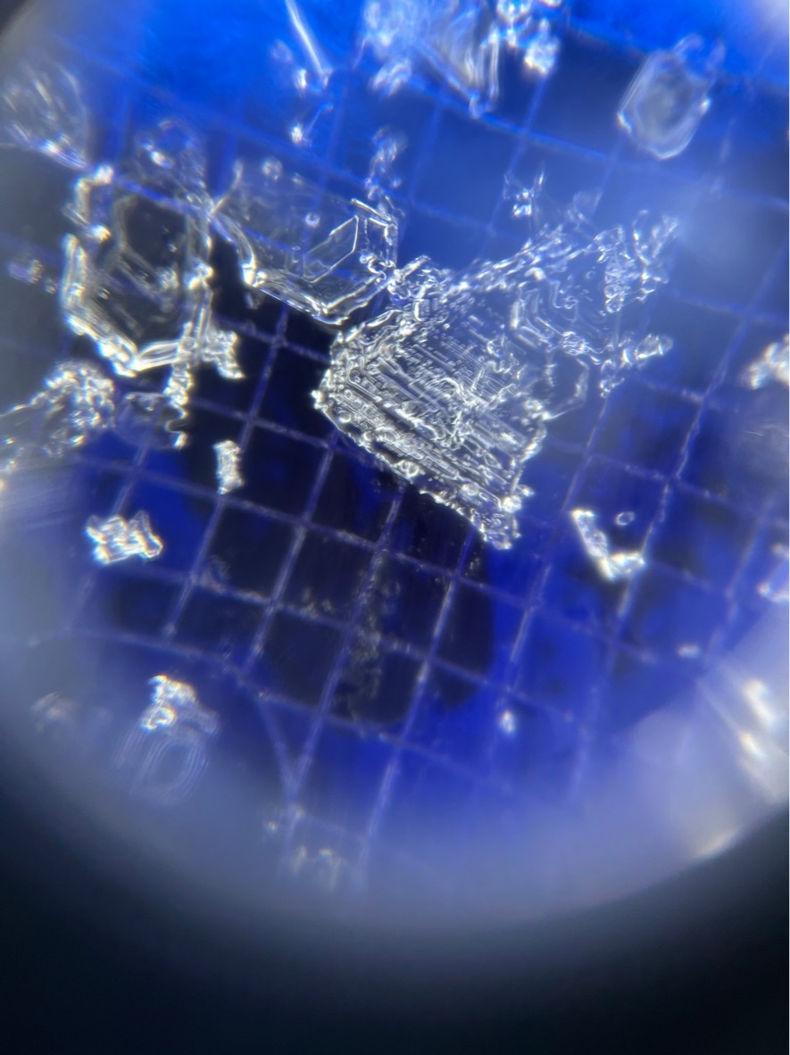 Northwest Avalanche Center - Pro Observation