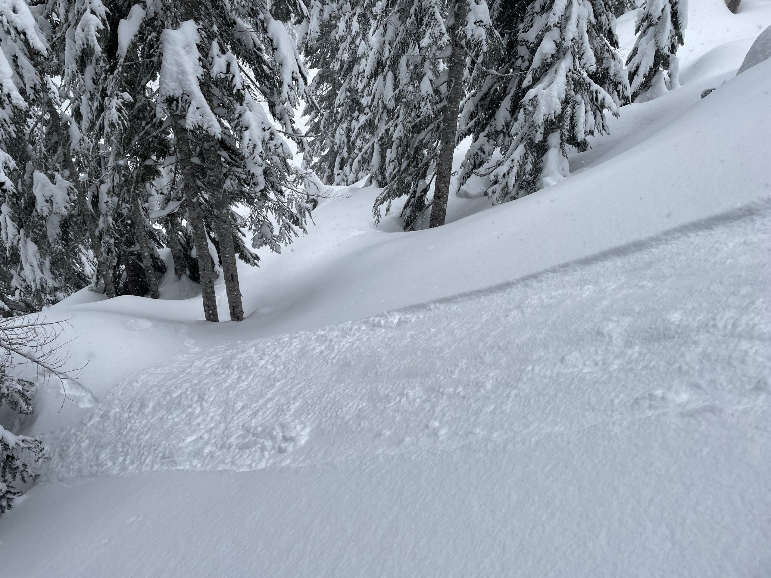 Northwest Avalanche Center - Pro Observation