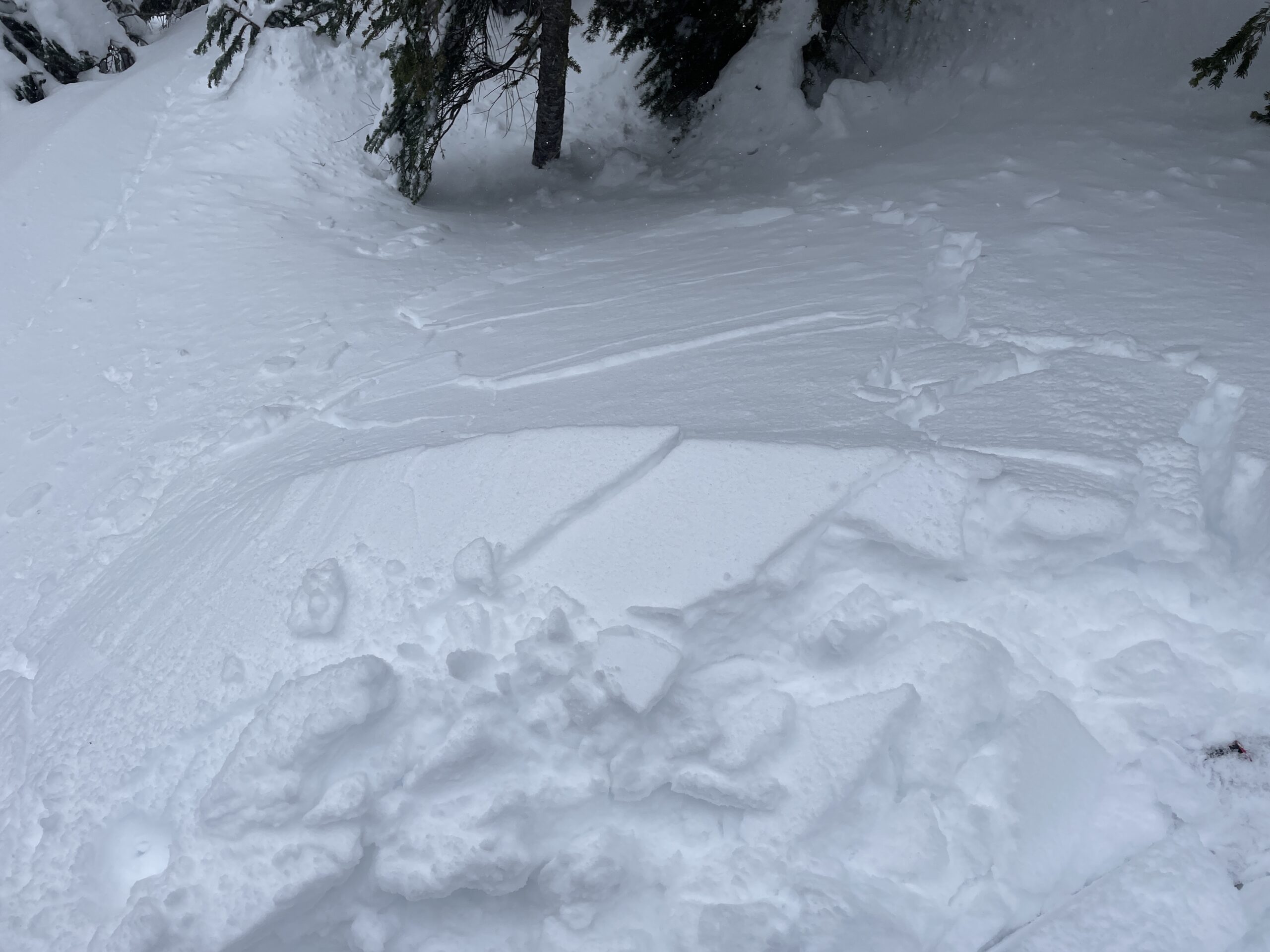 Northwest Avalanche Center - Pro Observation