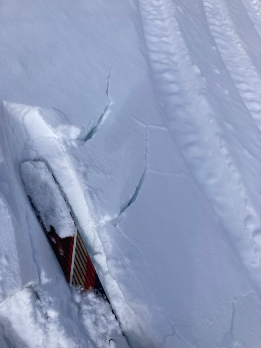 Northwest Avalanche Center - Pro Observation