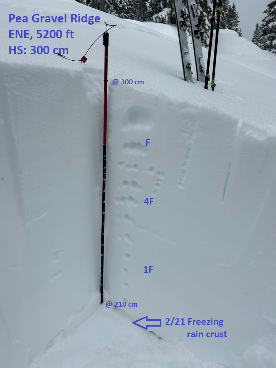 Northwest Avalanche Center - Pro Observation