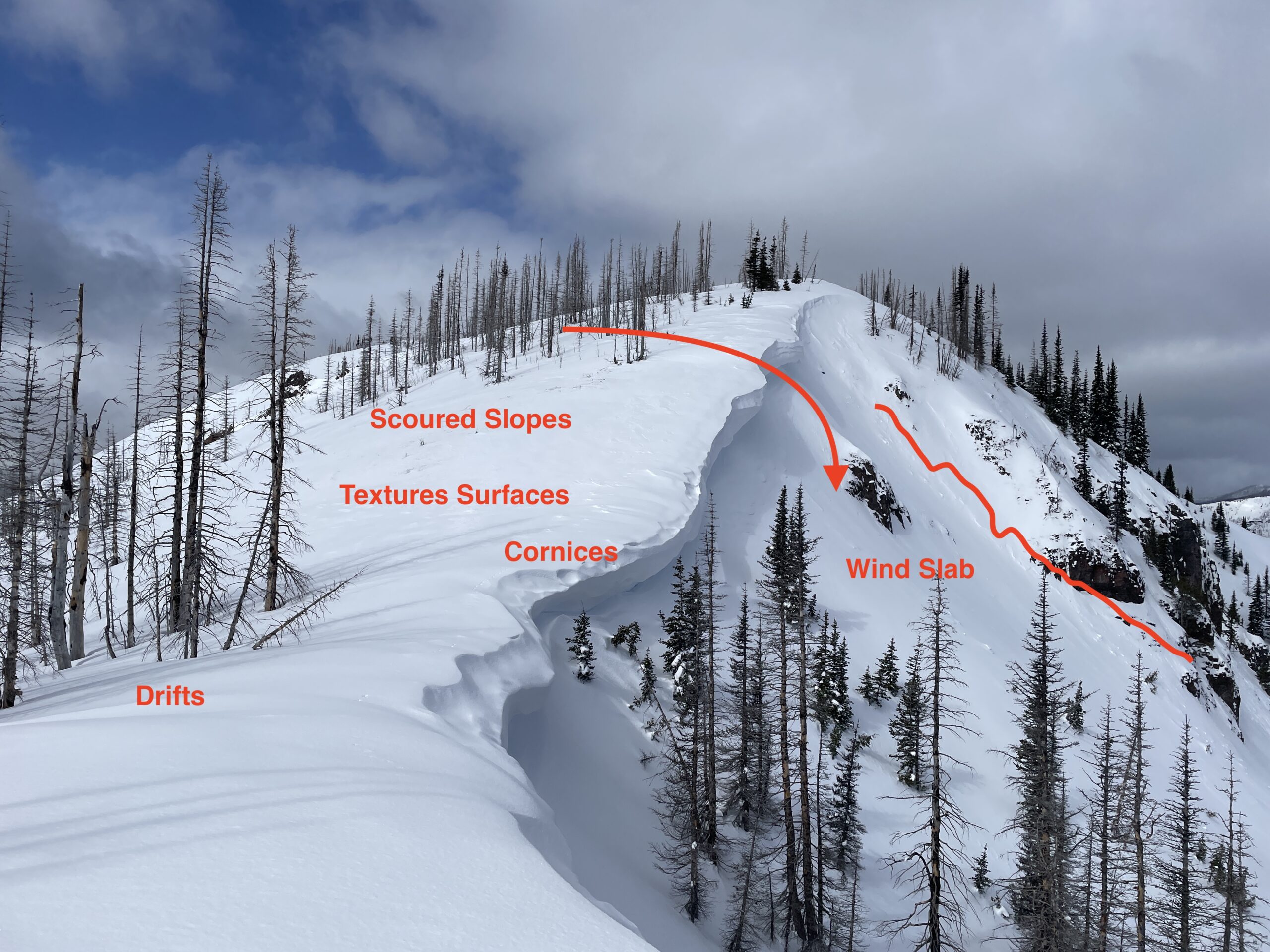 Northwest Avalanche Center - Pro Observation