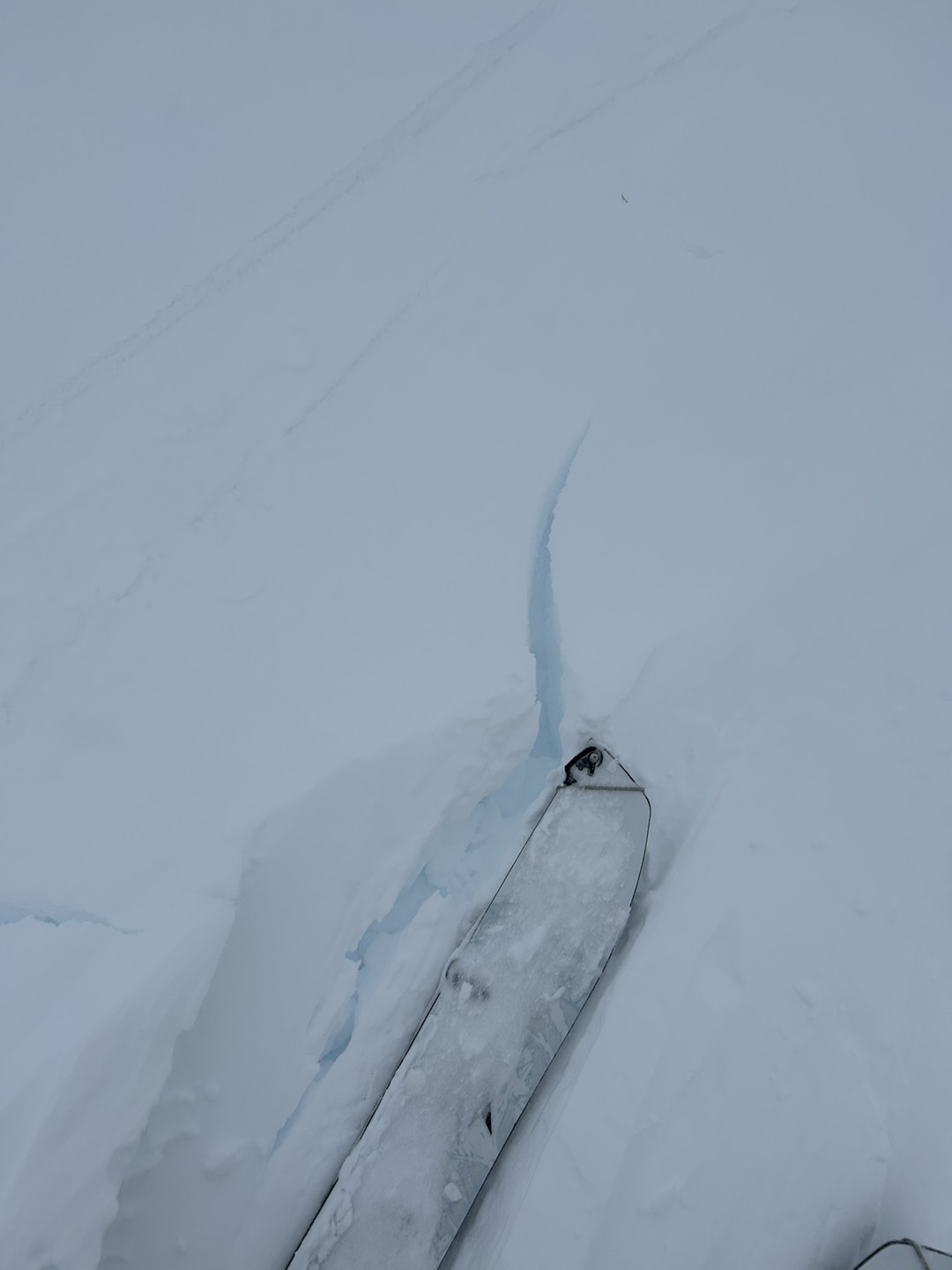 Northwest Avalanche Center - Pro Observation