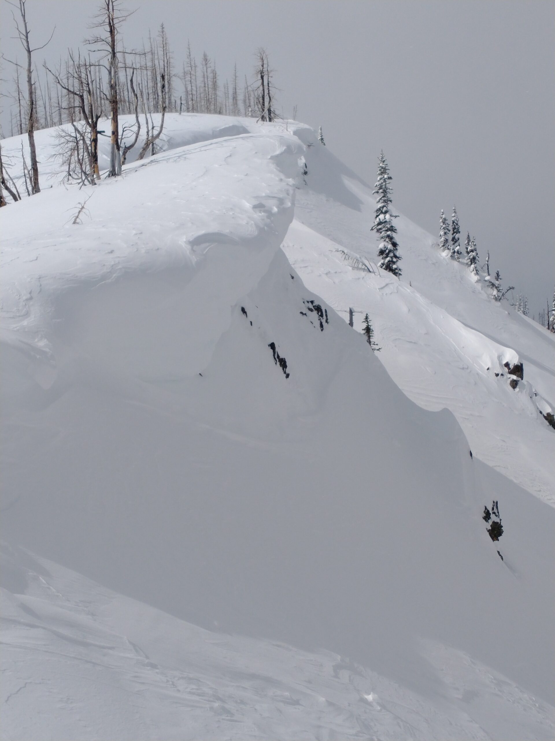Northwest Avalanche Center - Pro Observation