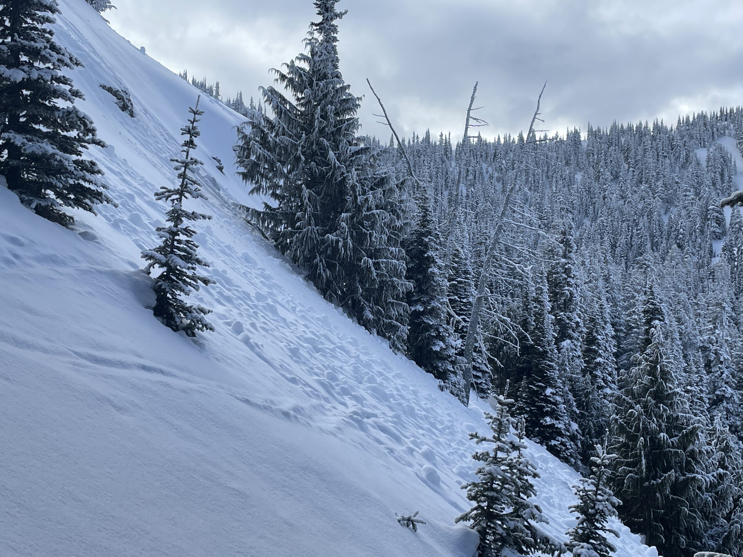 Northwest Avalanche Center - Pro Observation