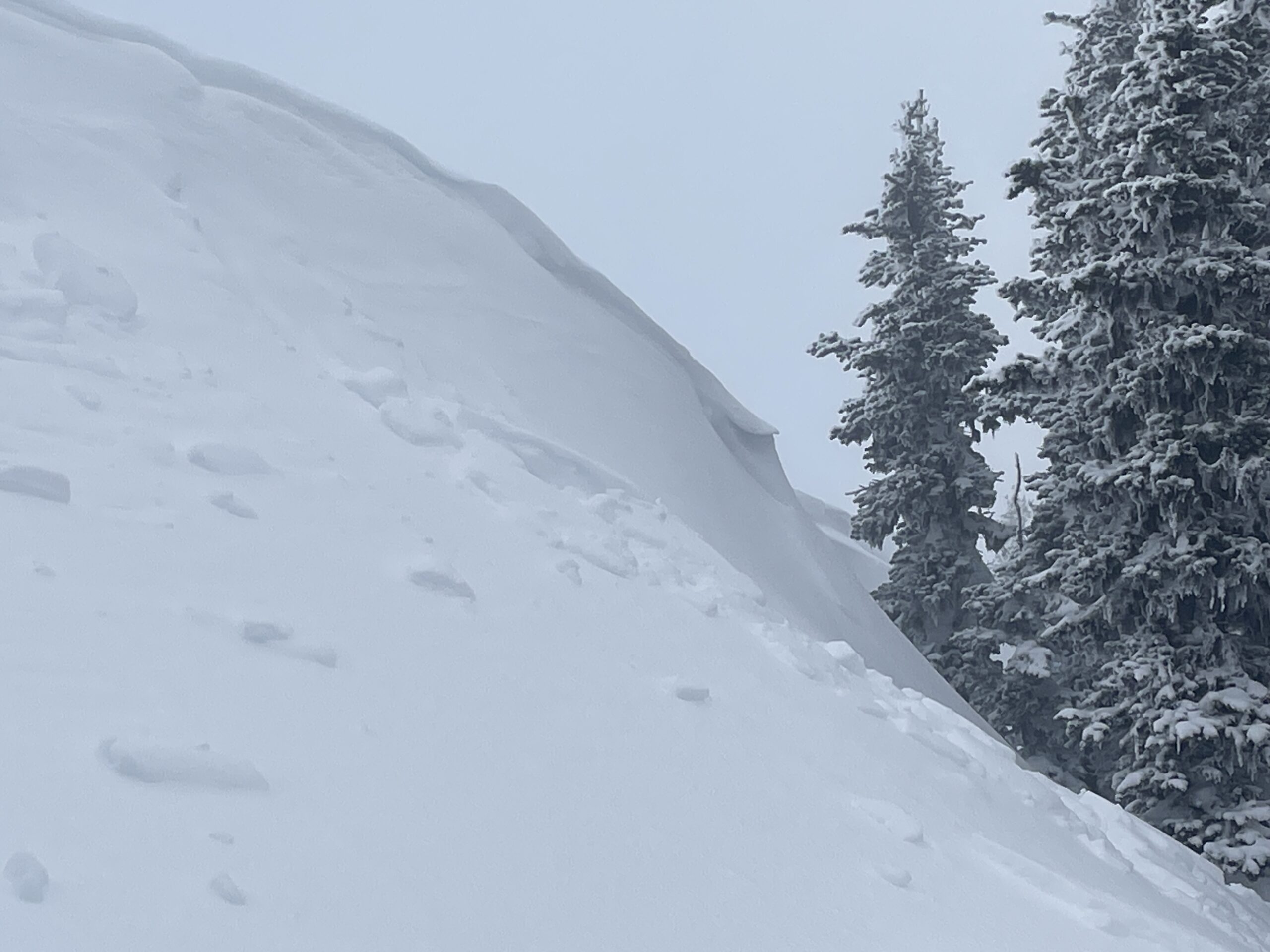 Northwest Avalanche Center - Pro Observation
