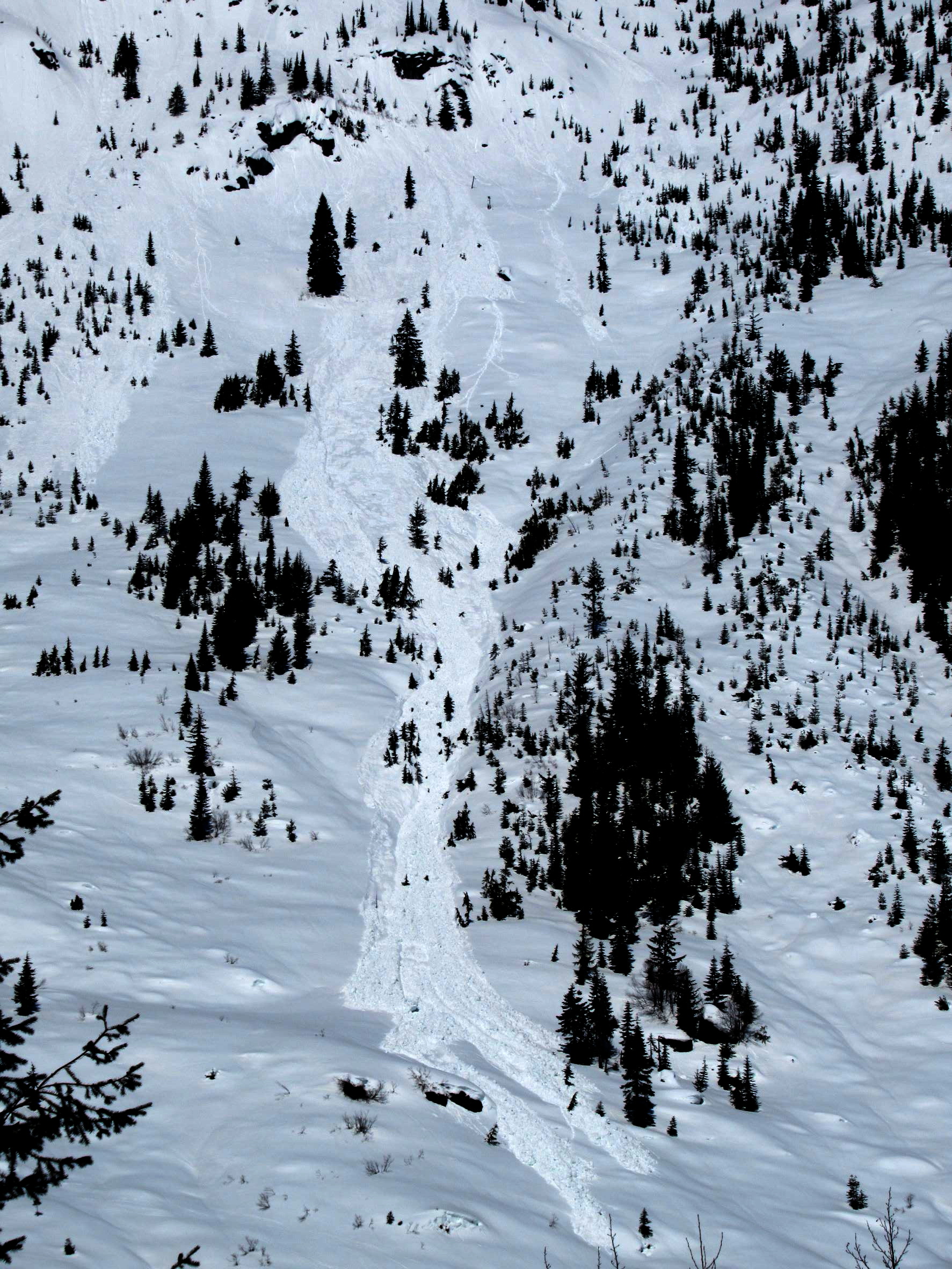 Northwest Avalanche Center - Pro Observation