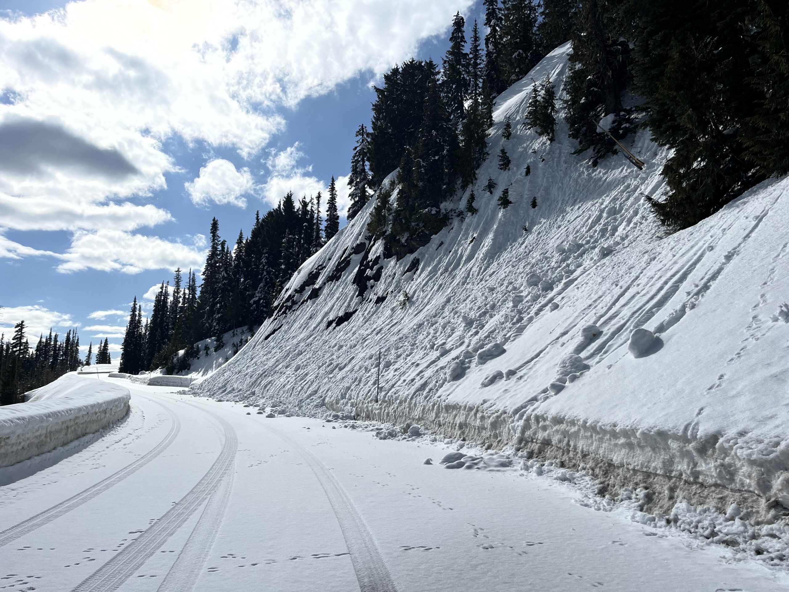 Northwest Avalanche Center - Pro Observation