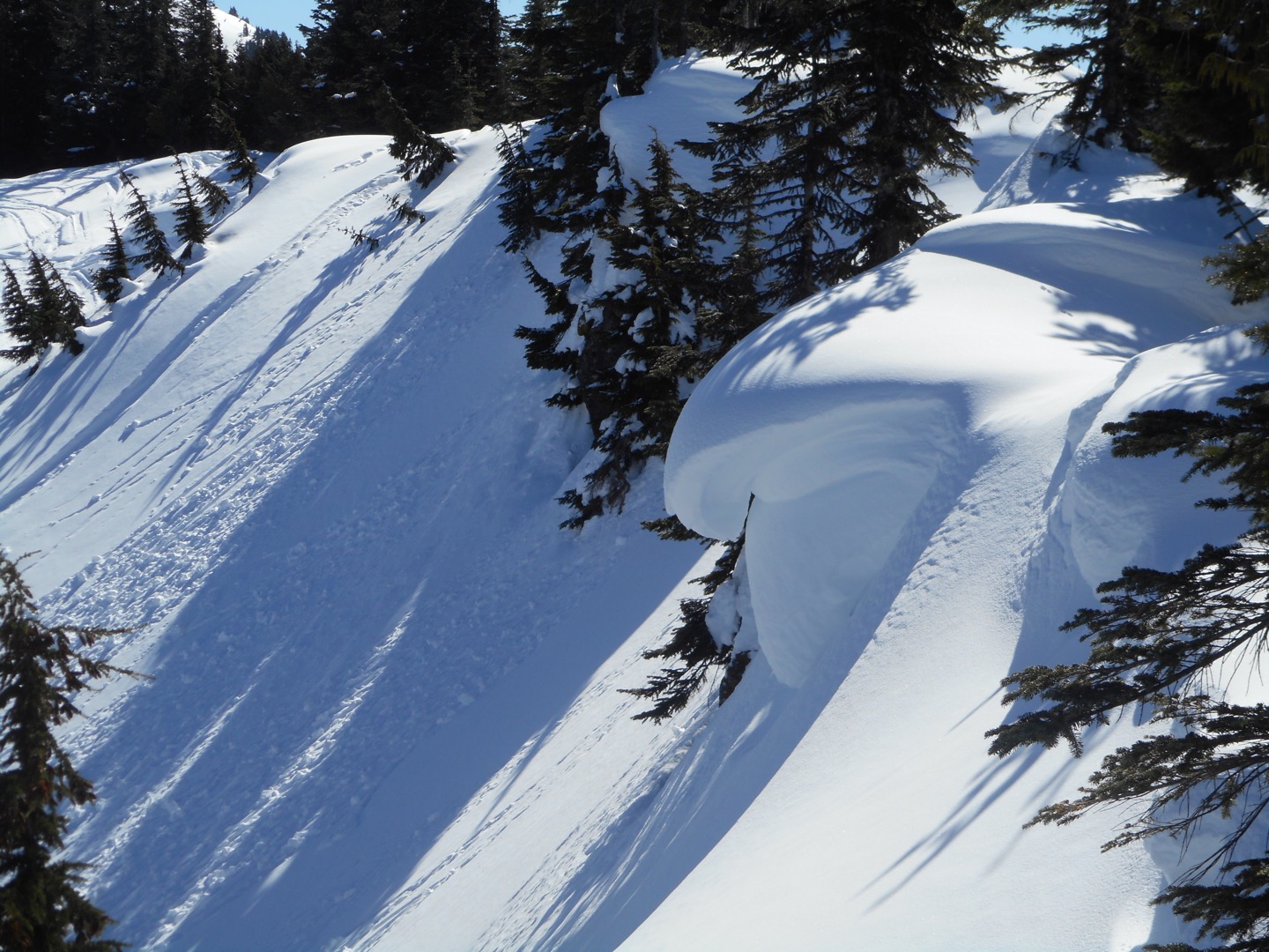 Northwest Avalanche Center - Pro Observation