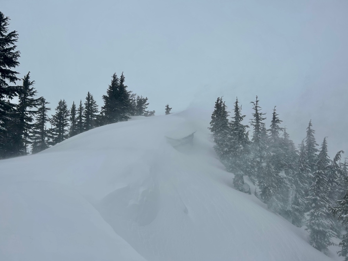 Northwest Avalanche Center - Pro Observation